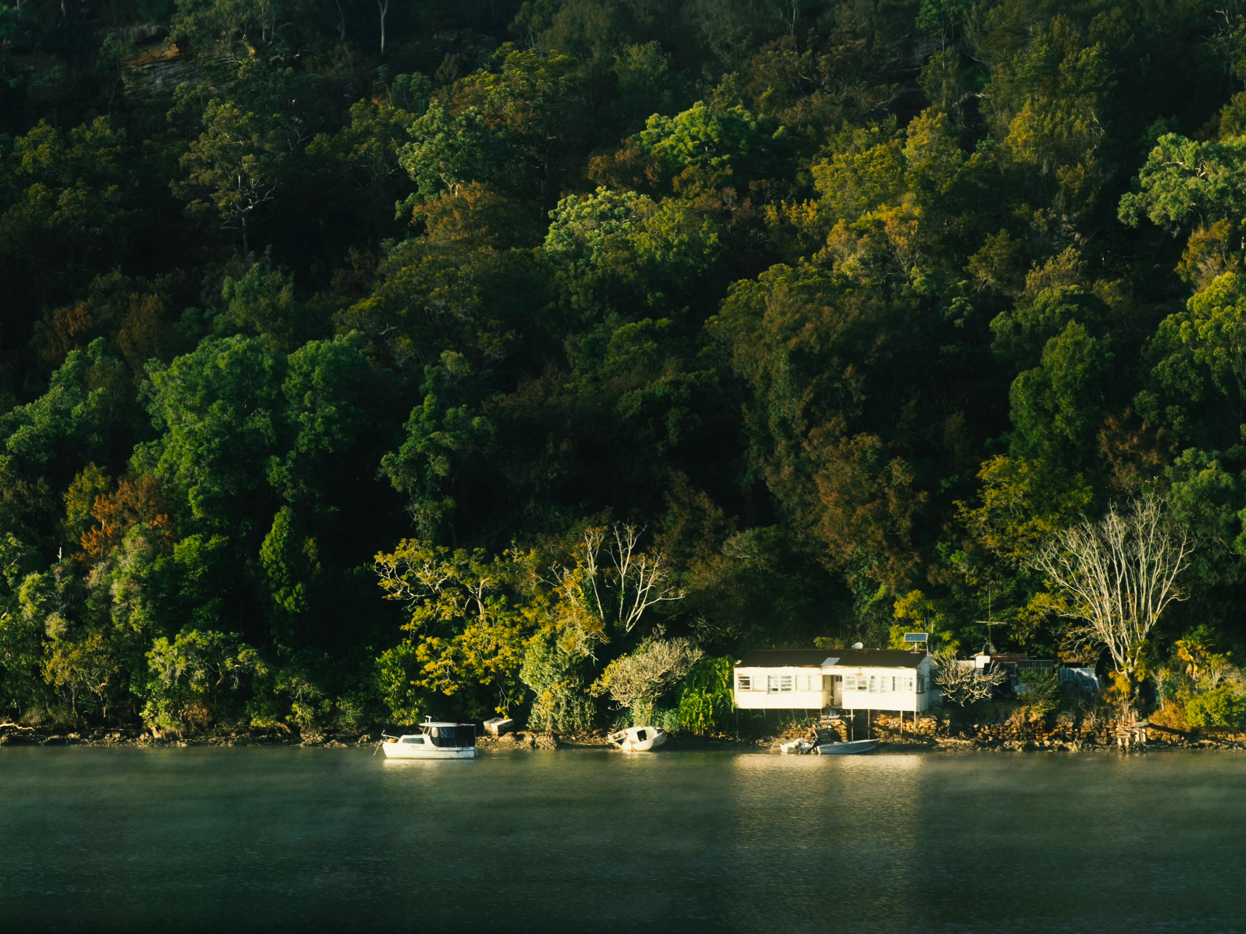 The Theory August Comte Photos, Download The BEST Free The Theory ...