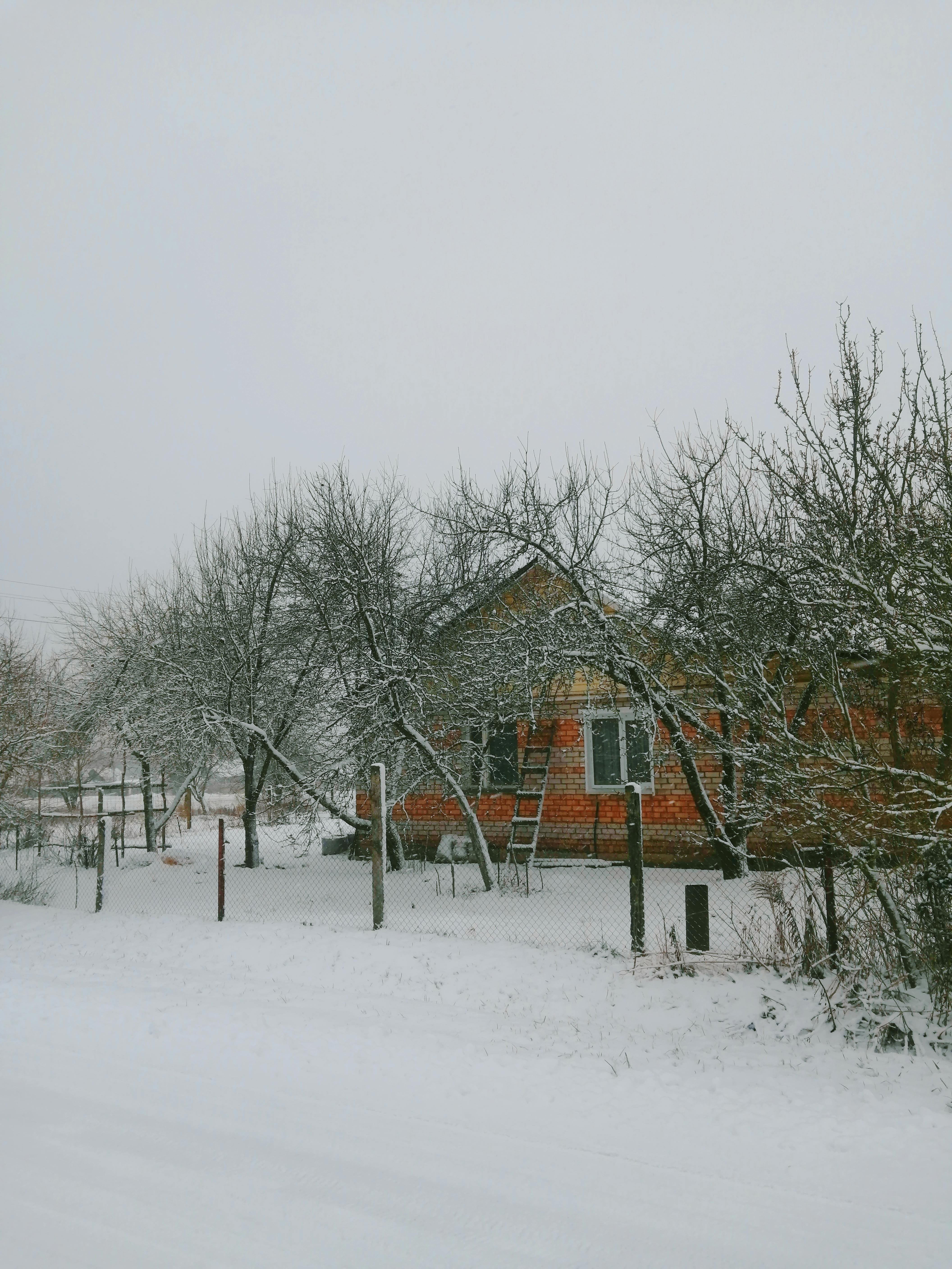 4k+Video+Downloader+Plus+무료 Photos, Download The BEST Free 4k+Video ...