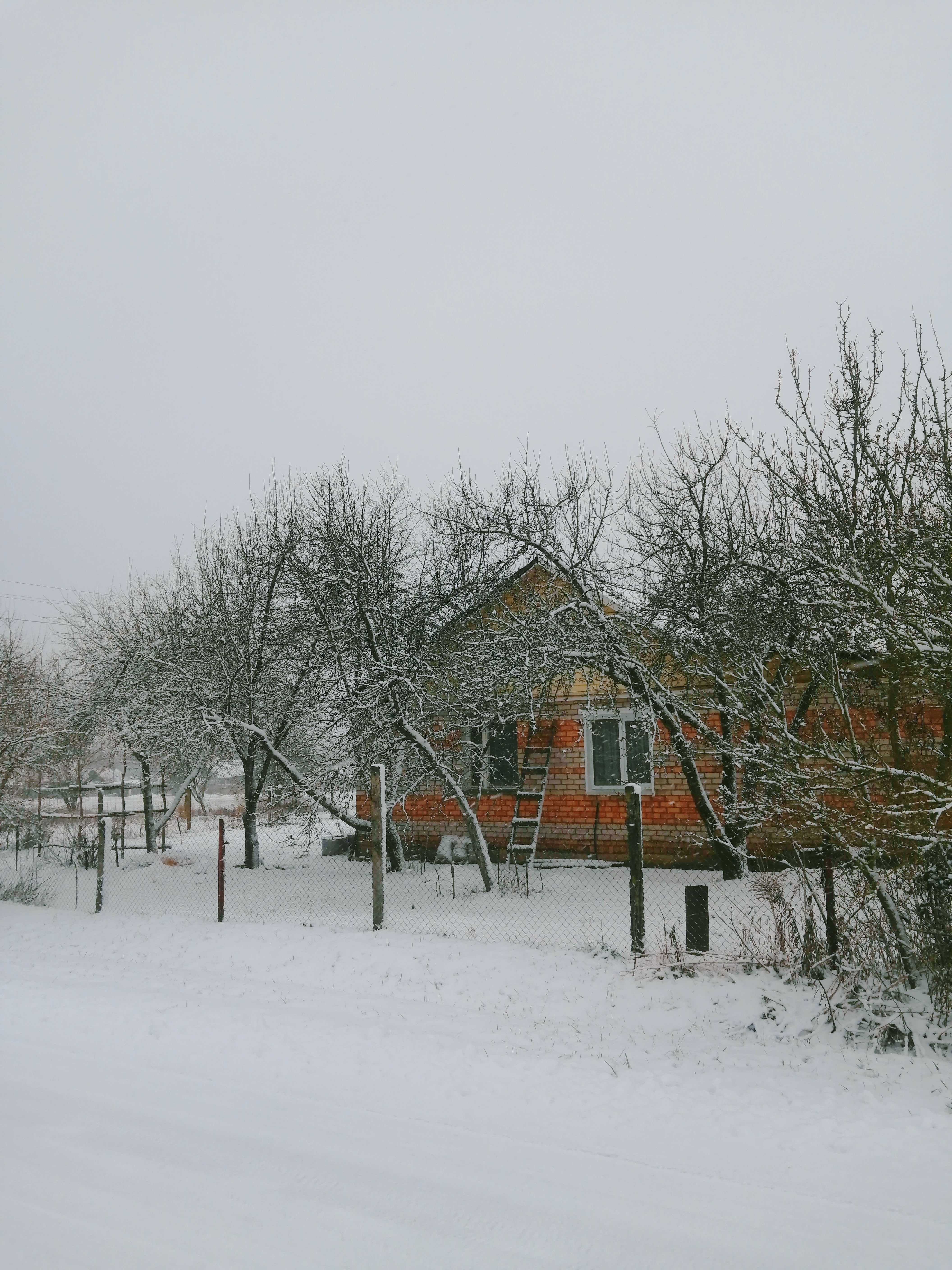 Rural House in a Serene Snowy Landscape · Free Stock Photo