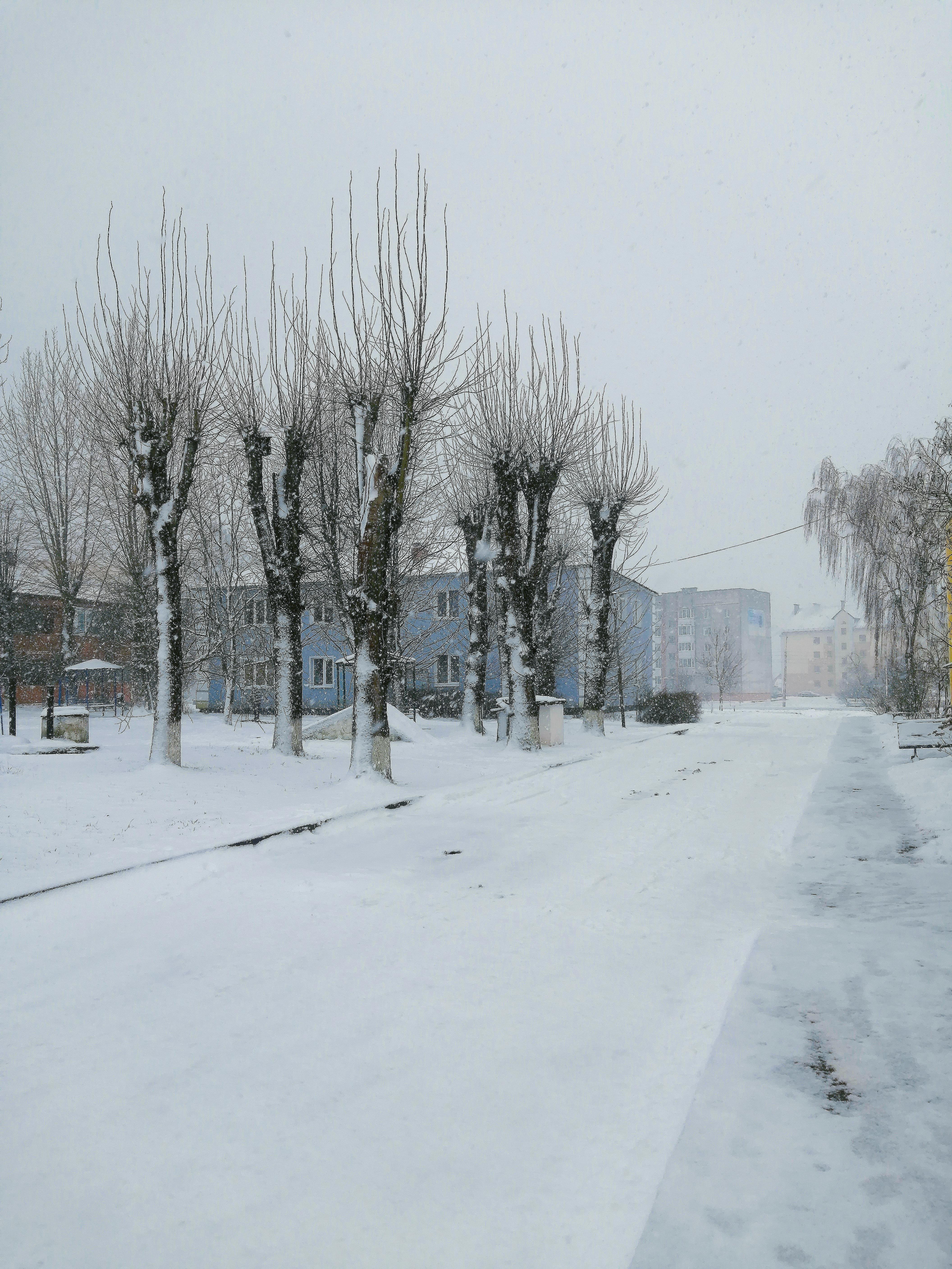 4k+Video+Downloader+Plus+무료 Photos, Download The BEST Free 4k+Video ...