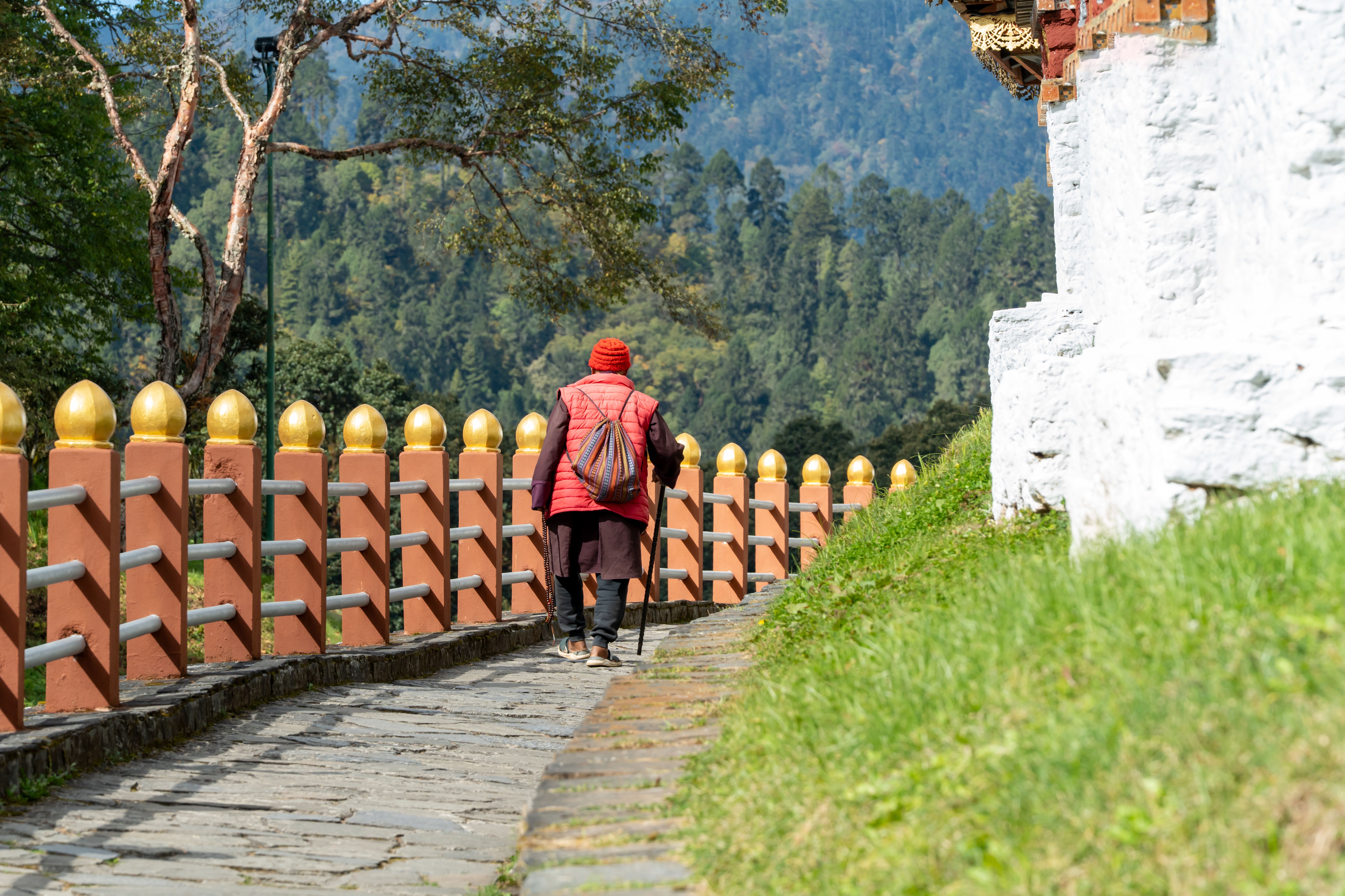 Wandering Photos, Download The BEST Free Wandering Stock Photos & HD Images