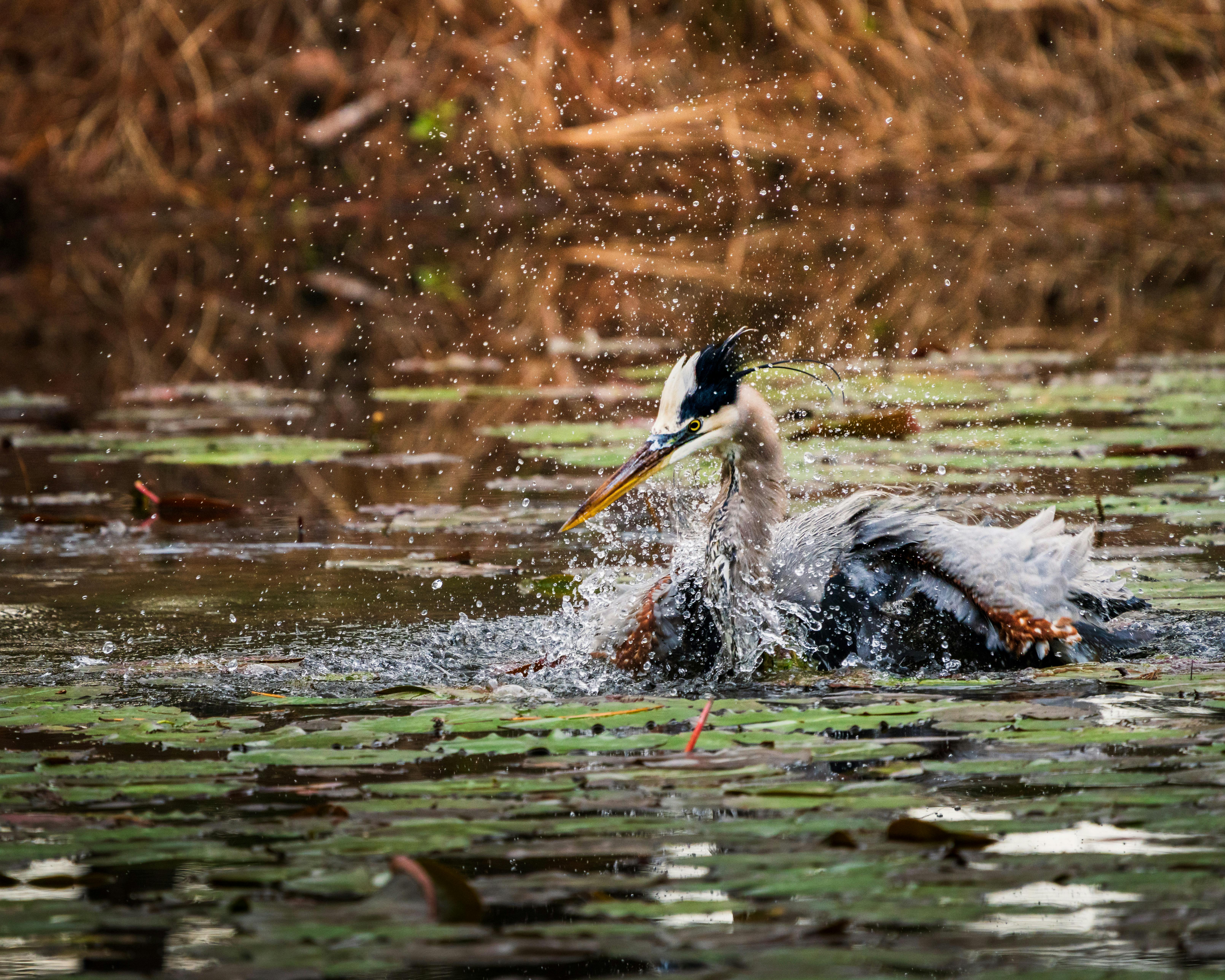 Stock+Trafer Photos, Download The BEST Free Stock+Trafer Stock Photos ...