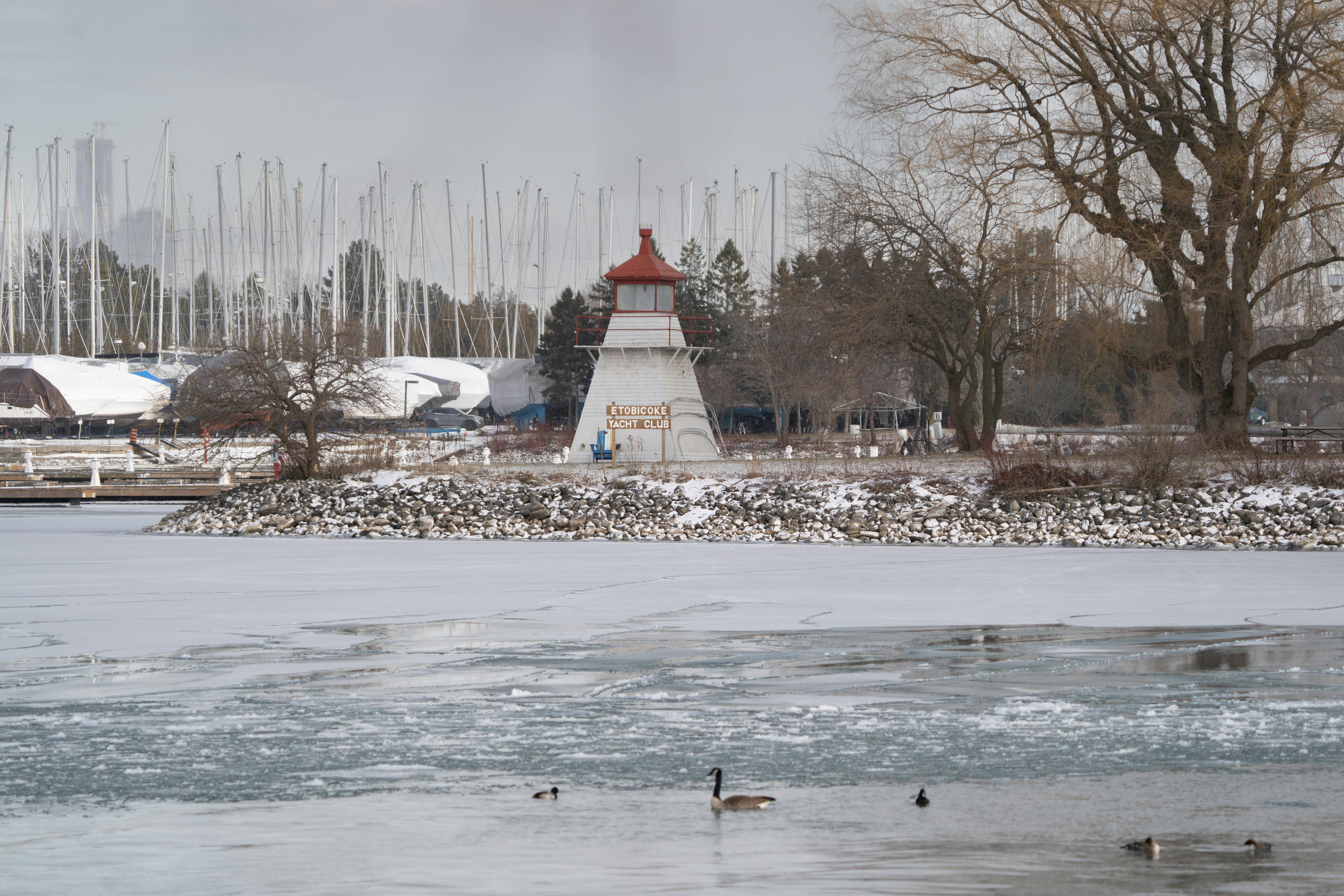 Winter Scene at Etobicoke Yacht Club · Free Stock Photo