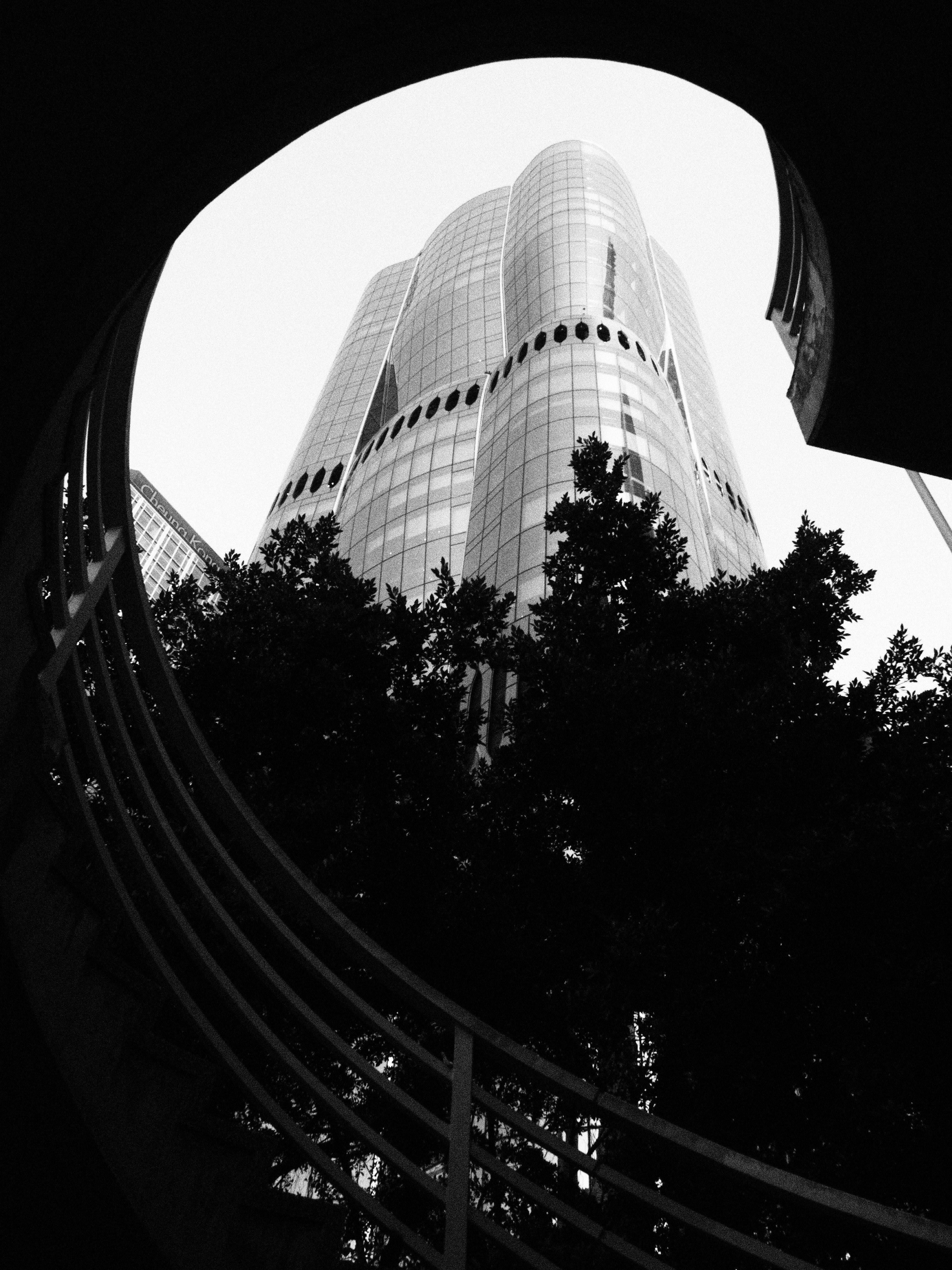 Pngとは+画像 Photos, Download The BEST Free Pngとは+画像 Stock Photos & HD Images