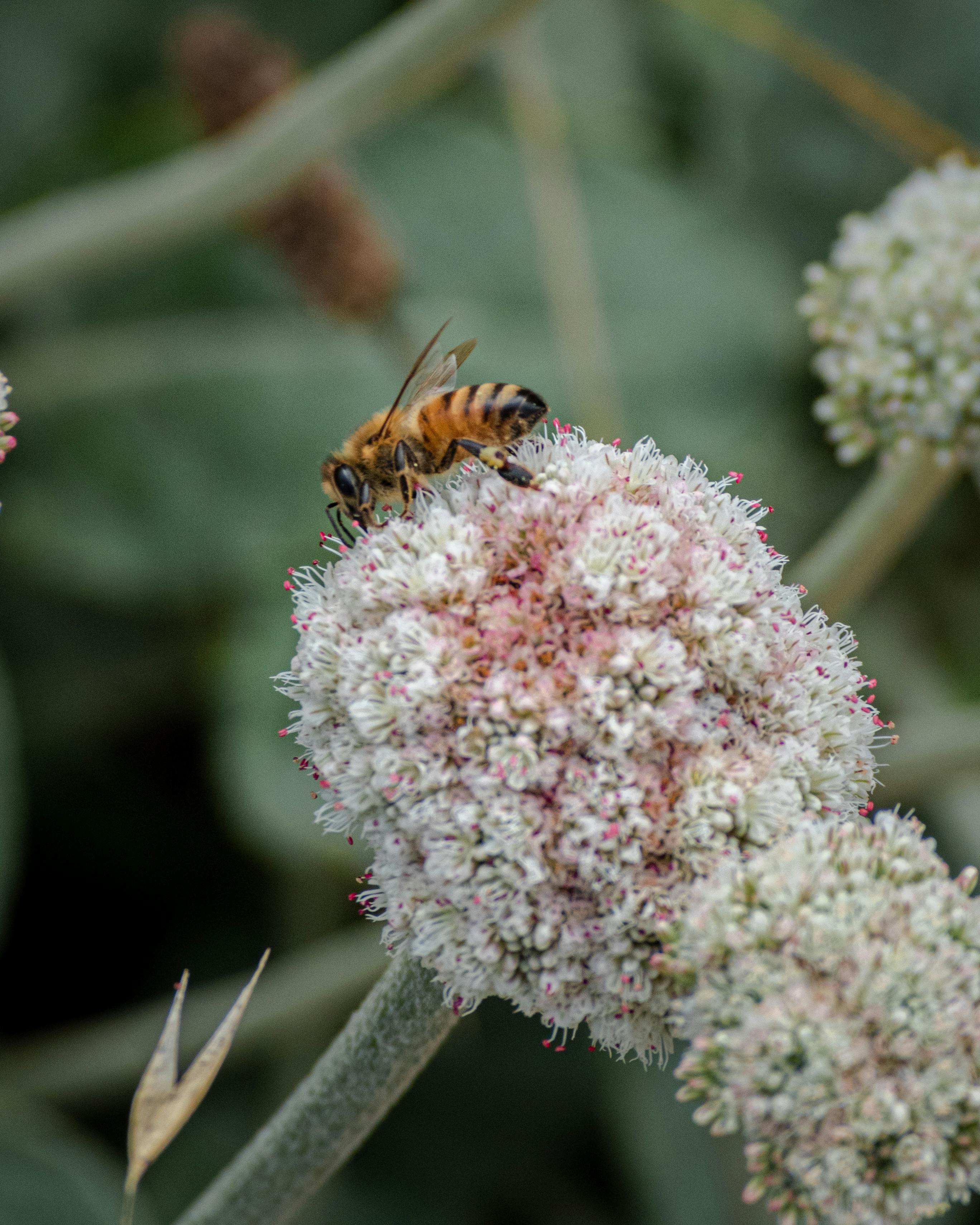 90.000+ Anatomy+of+the+foot Bilder und Fotos · Kostenlos Downloaden ...