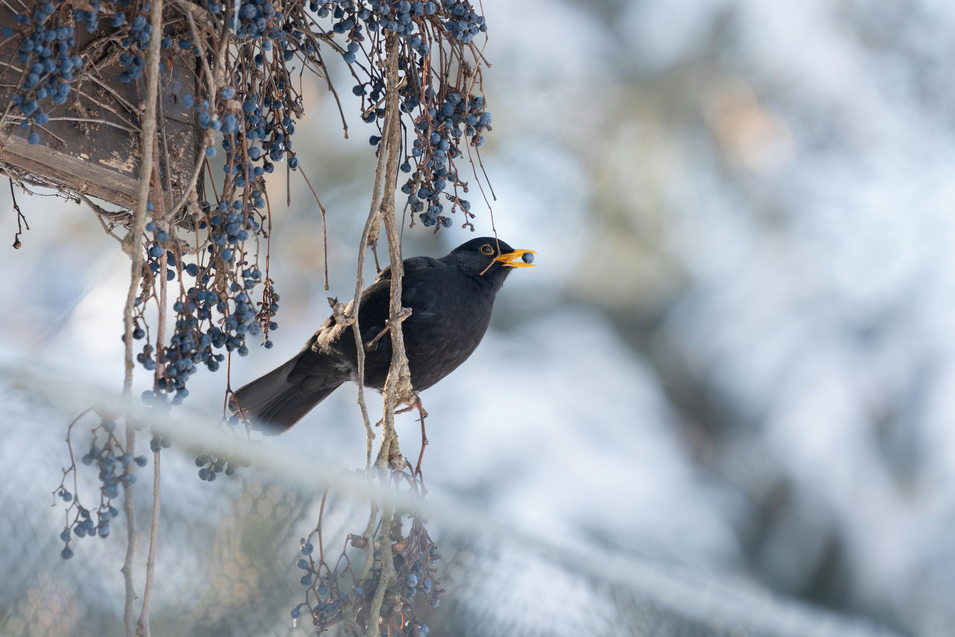 She+Is+Cool Photos, Download The BEST Free She+Is+Cool Stock Photos ...