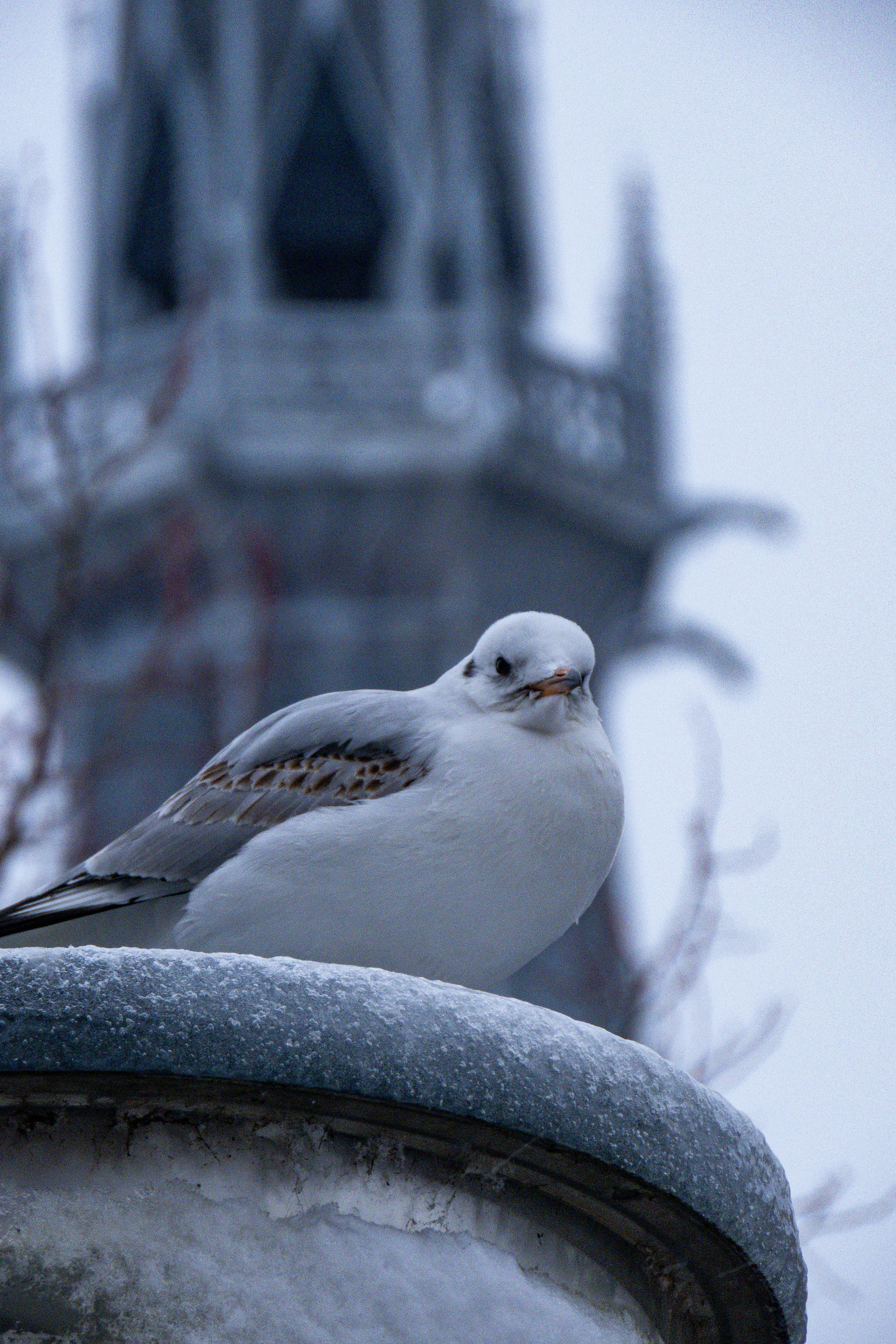 Paris Tower Background Photos, Download The BEST Free Paris Tower ...