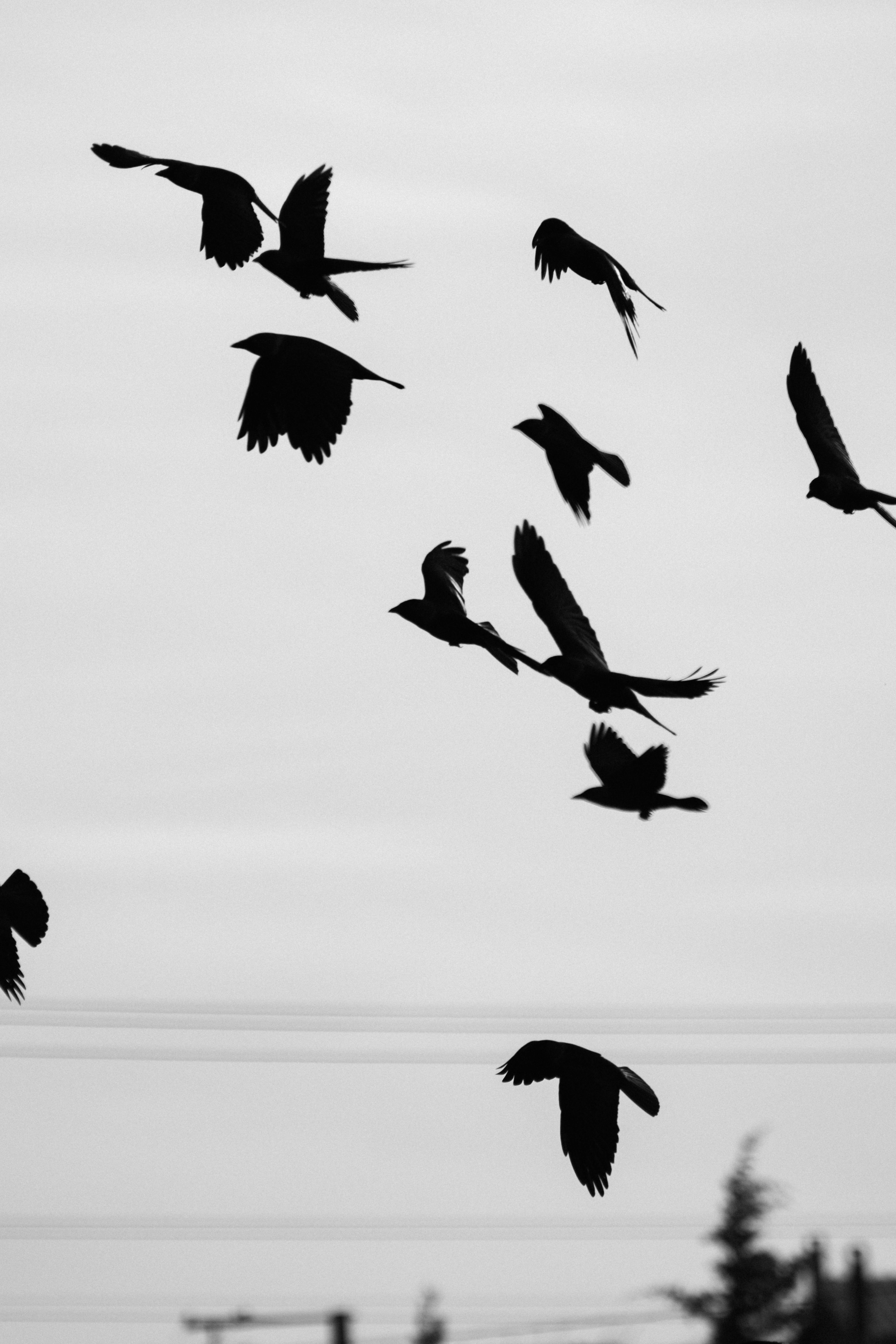 Adobe+Photoshop+7.0+Free+Download+For+Pc Photos, Download The BEST Free ...