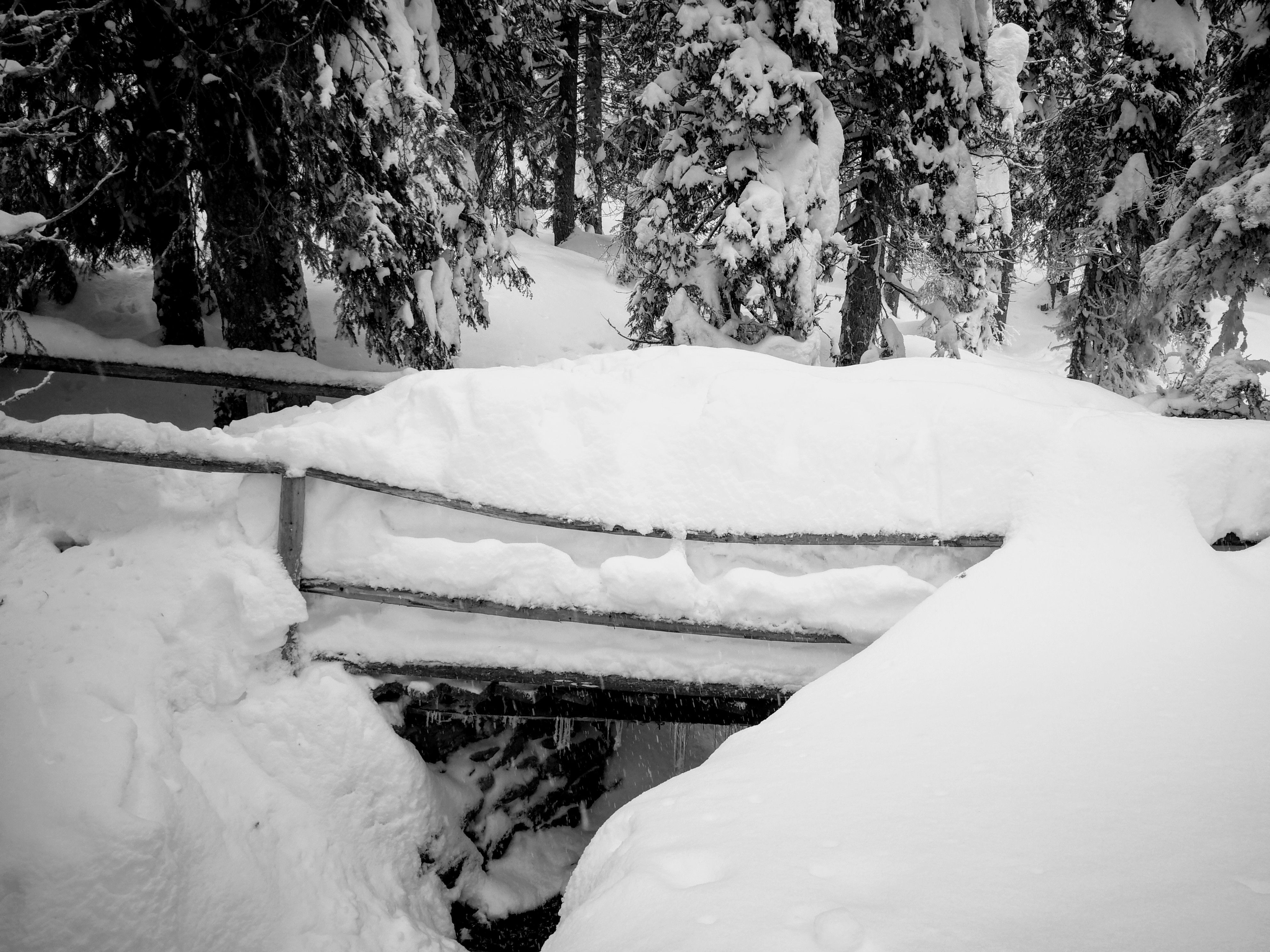 Deep Snow Photos, Download The BEST Free Deep Snow Stock Photos & HD Images