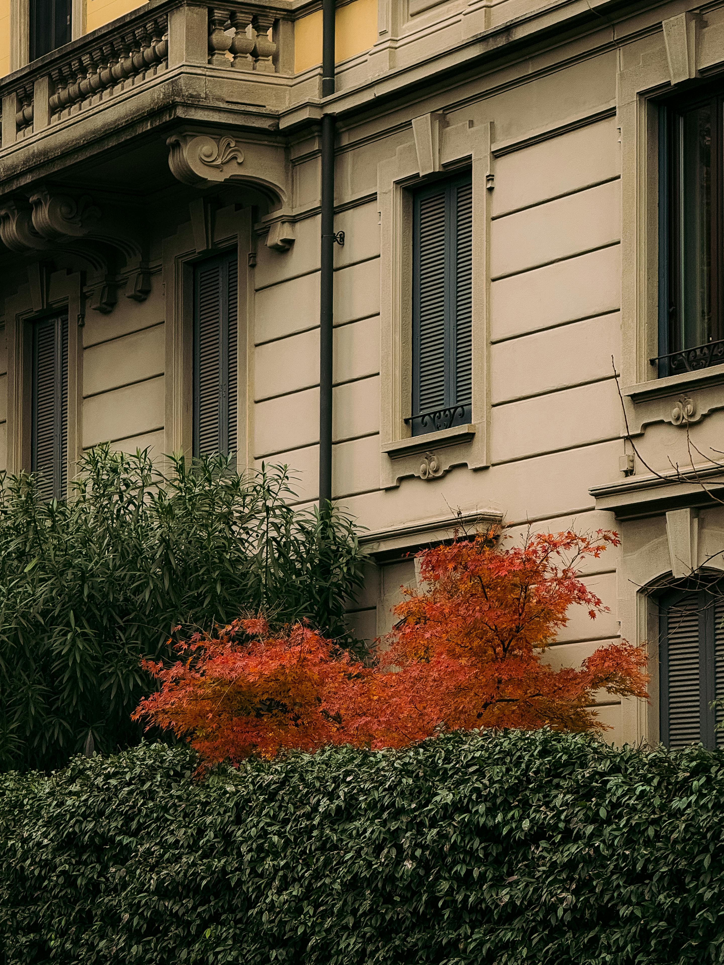 Sexy+Bikini+With+Bush Photos, Download The BEST Free Sexy+Bikini+With ...