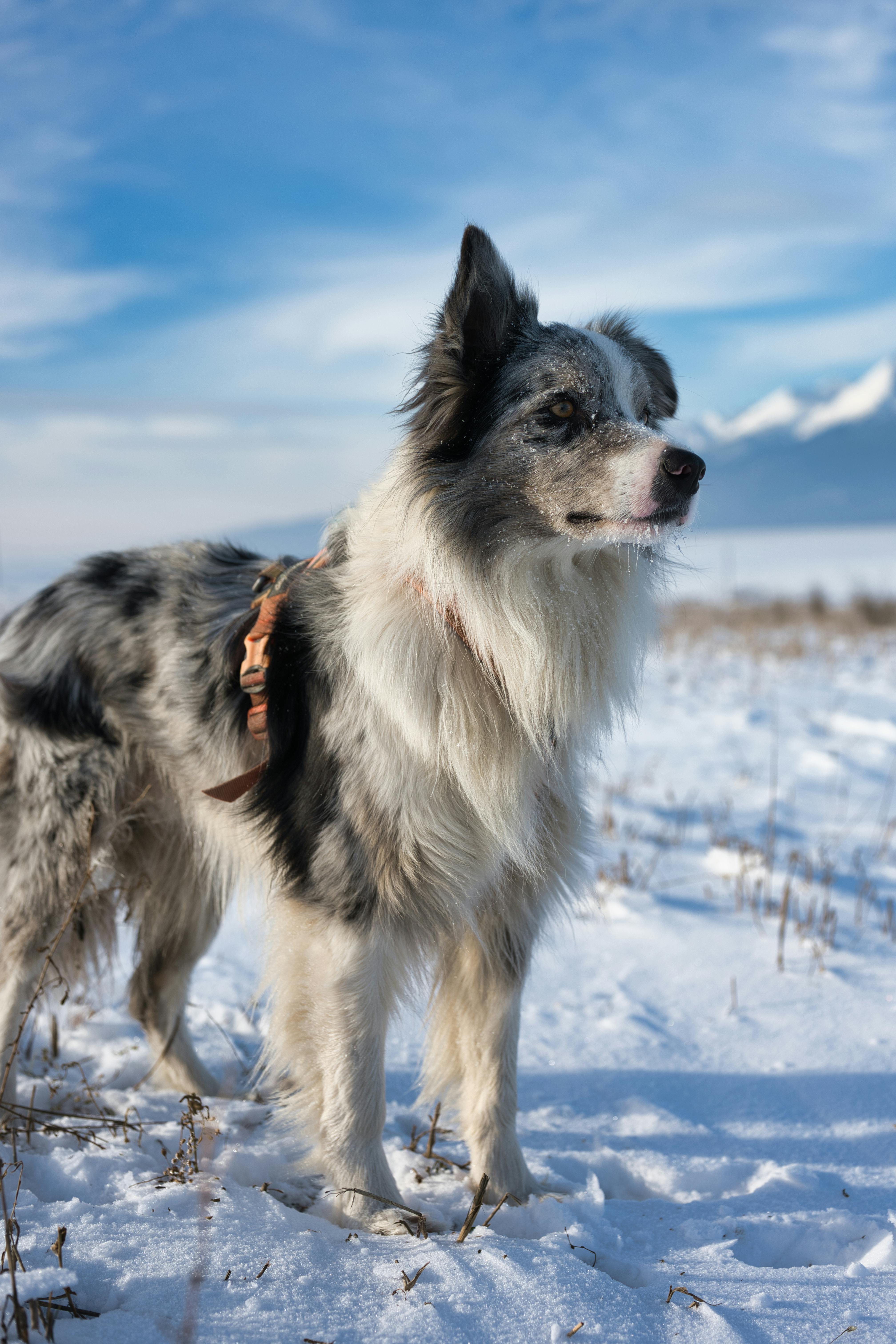 Off+The+Farm.Com Photos, Download The BEST Free Off+The+Farm.Com Stock ...