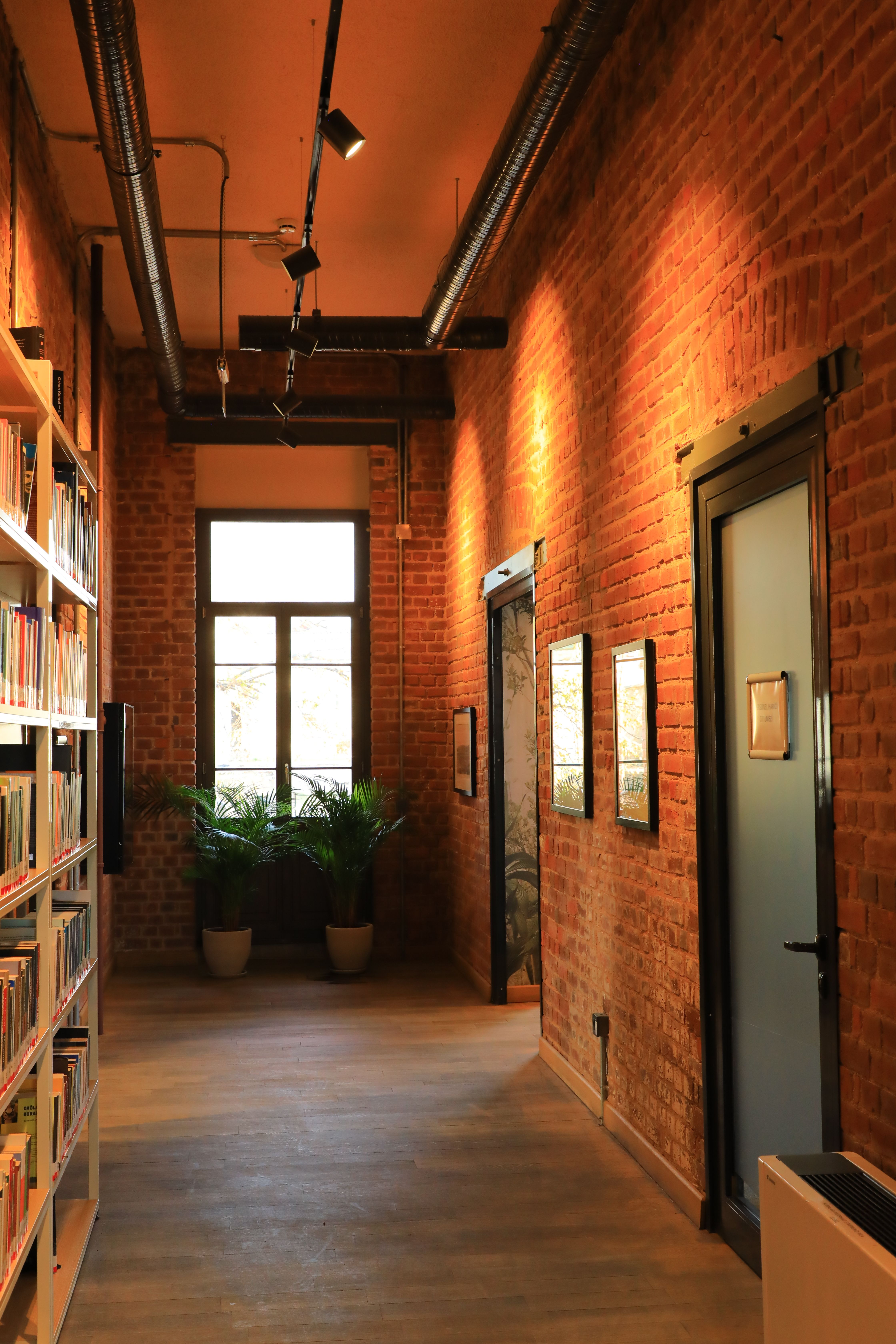 Library Art Photos, Download The BEST Free Library Art Stock Photos ...