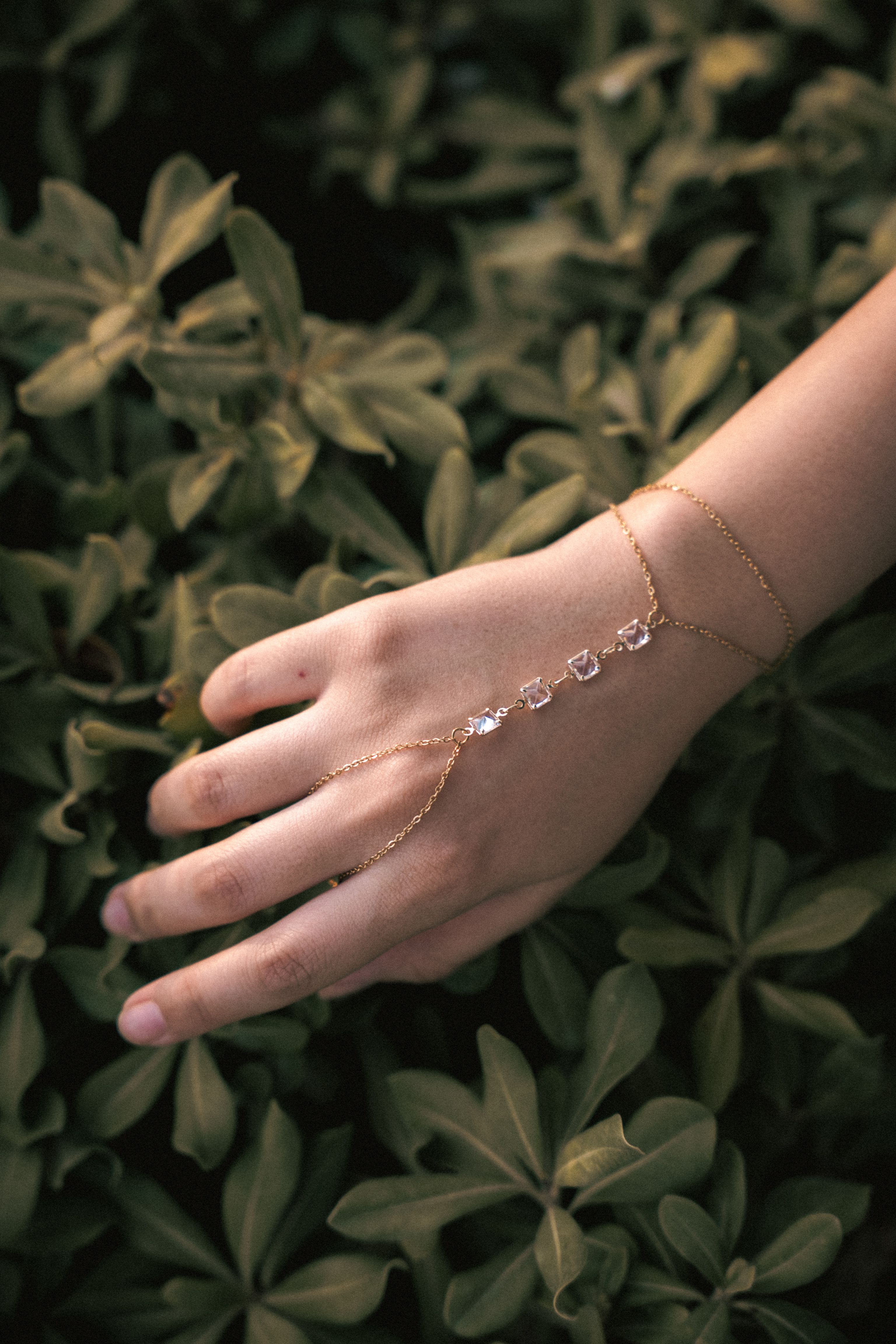 Elegant Hand Jewelry on Leafy Background · Free Stock Photo