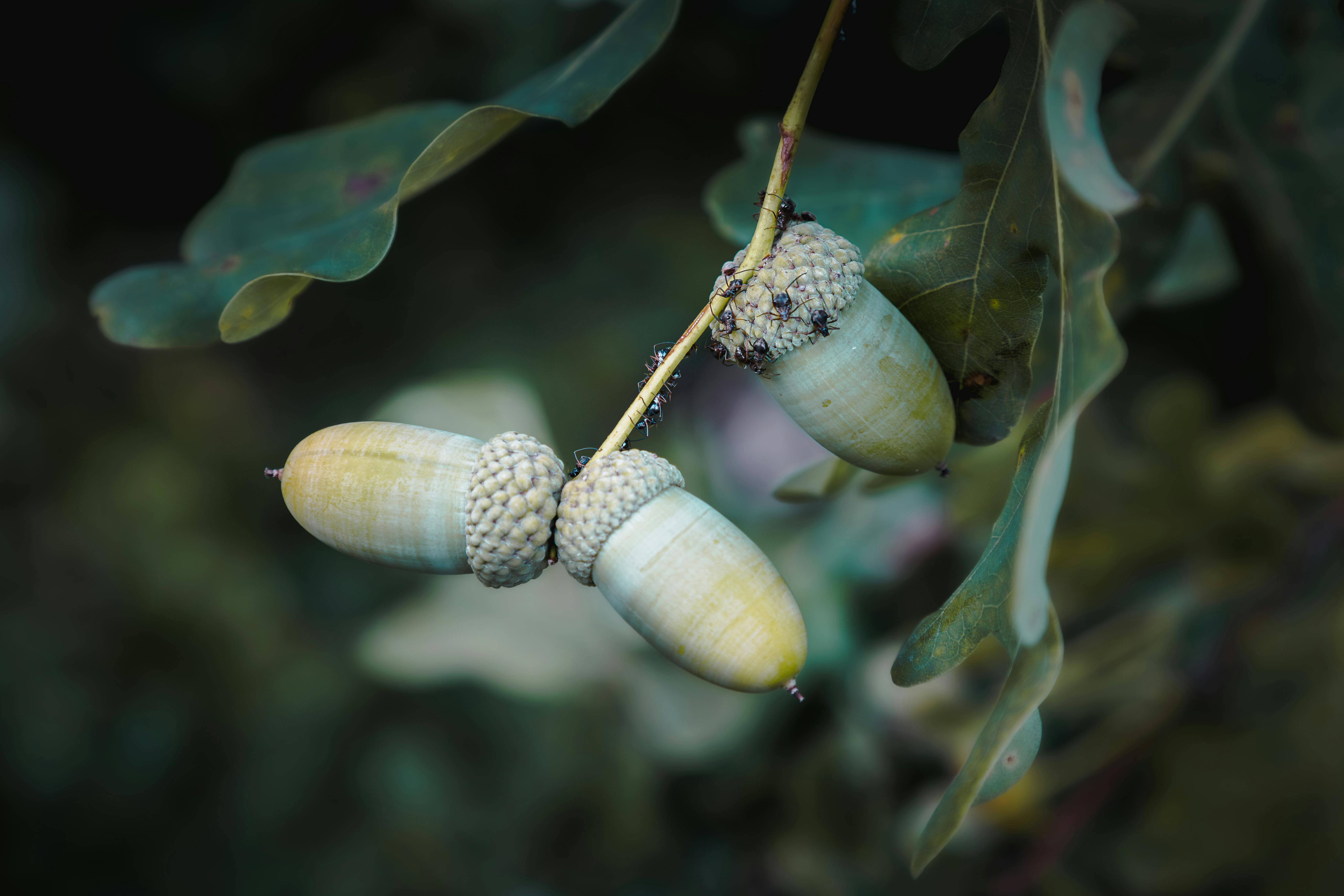 4.000+ Sam+asghari+cock Bilder und Fotos · Kostenlos Downloaden ...