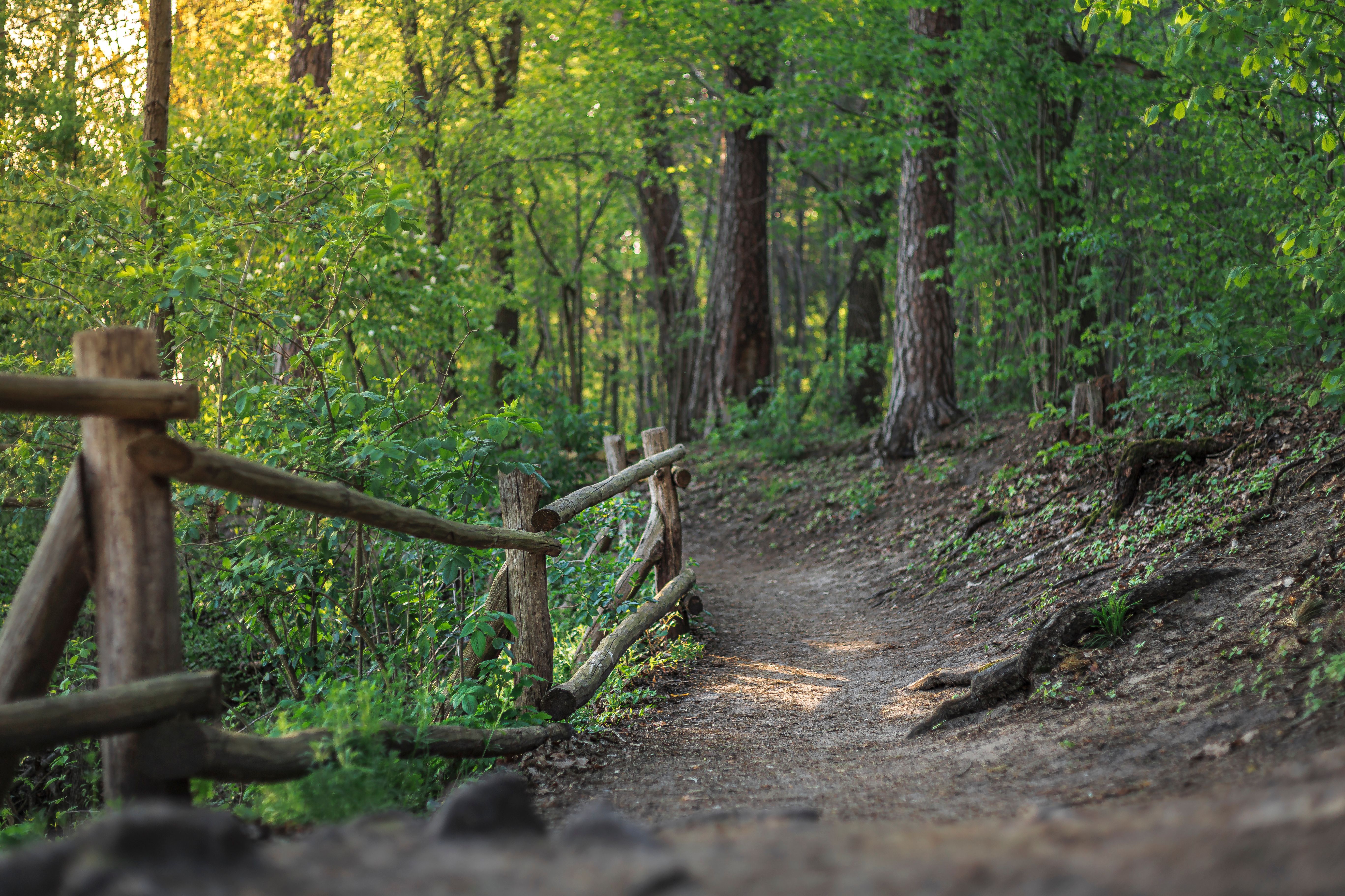 Wandering Photos, Download The BEST Free Wandering Stock Photos & HD Images