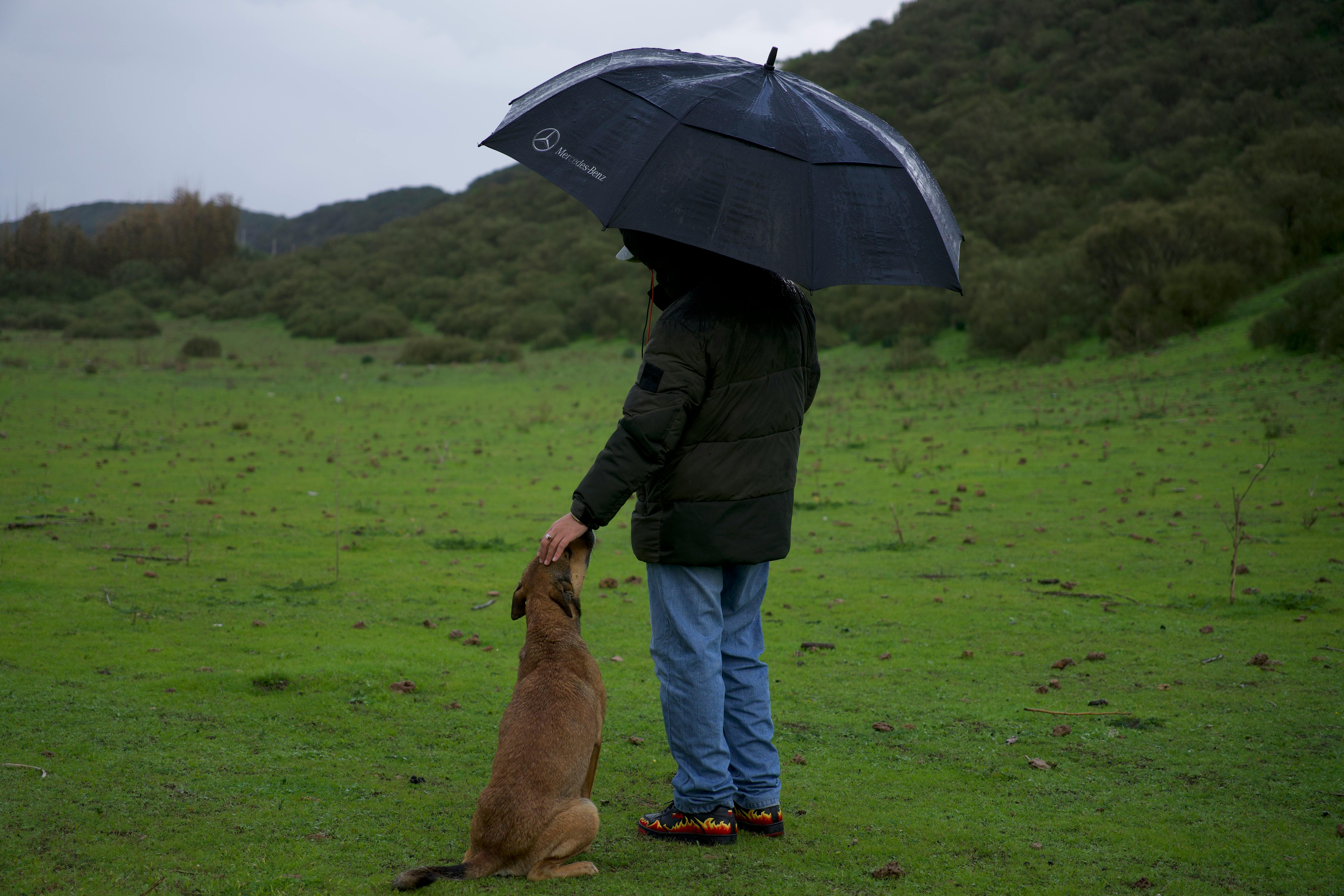 Hombre Con Perro Bajo Paraguas En Un Campo Lluvioso · Foto de stock ...
