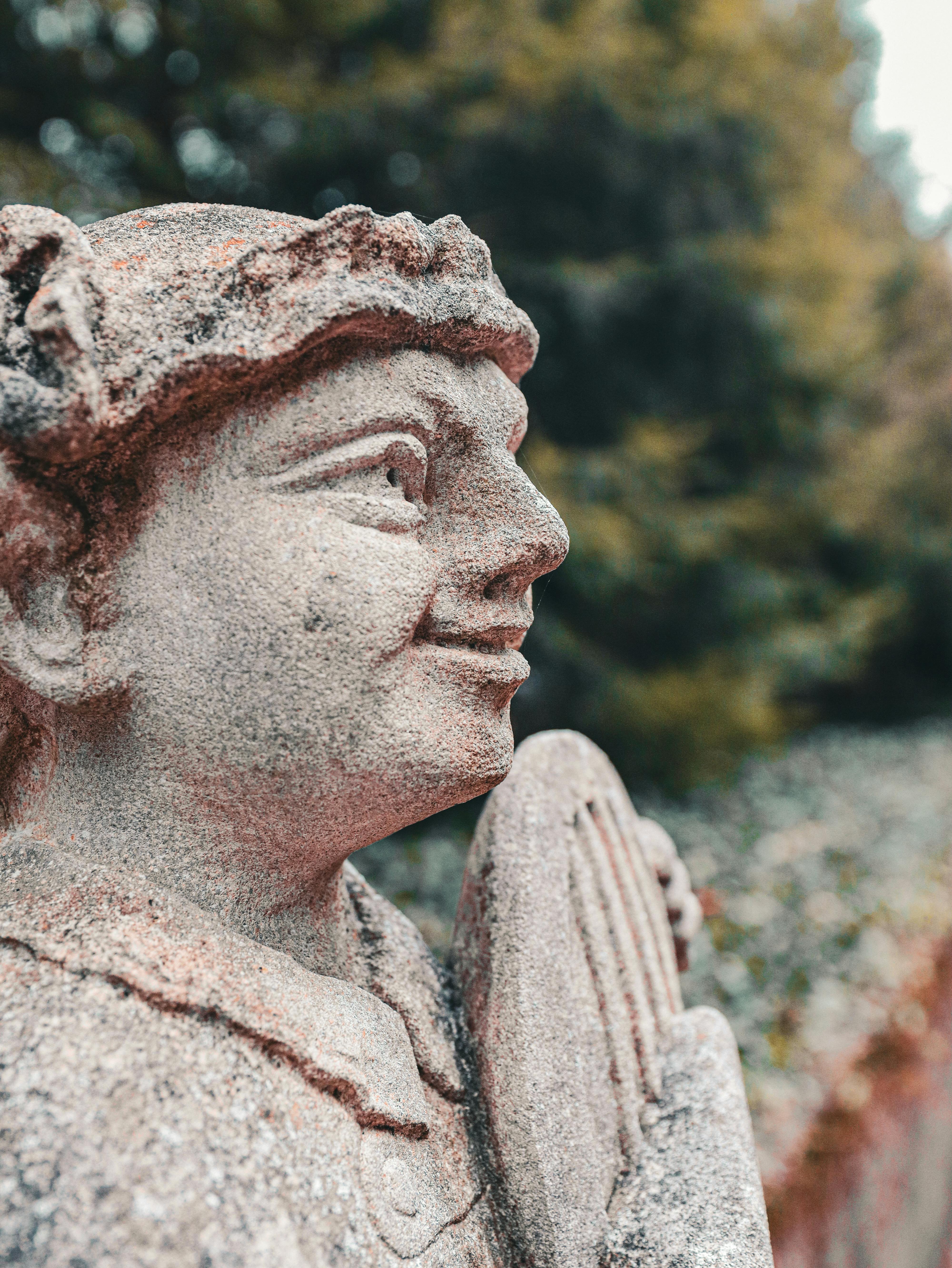 Postman+Installation+Linux Photos, Download The BEST Free Postman ...