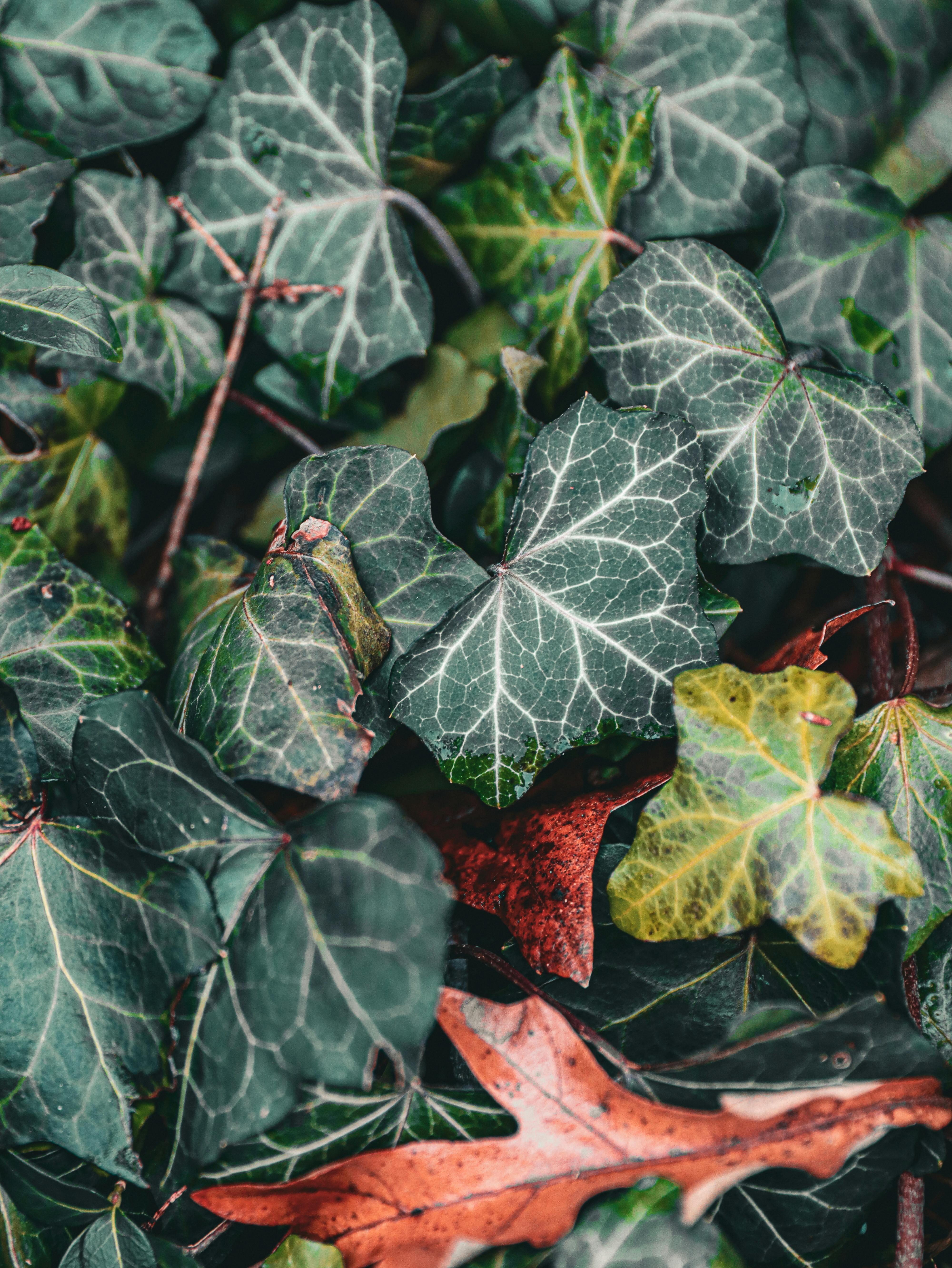 40.000+ P28+stock+computer Bilder und Fotos · Kostenlos Downloaden ...