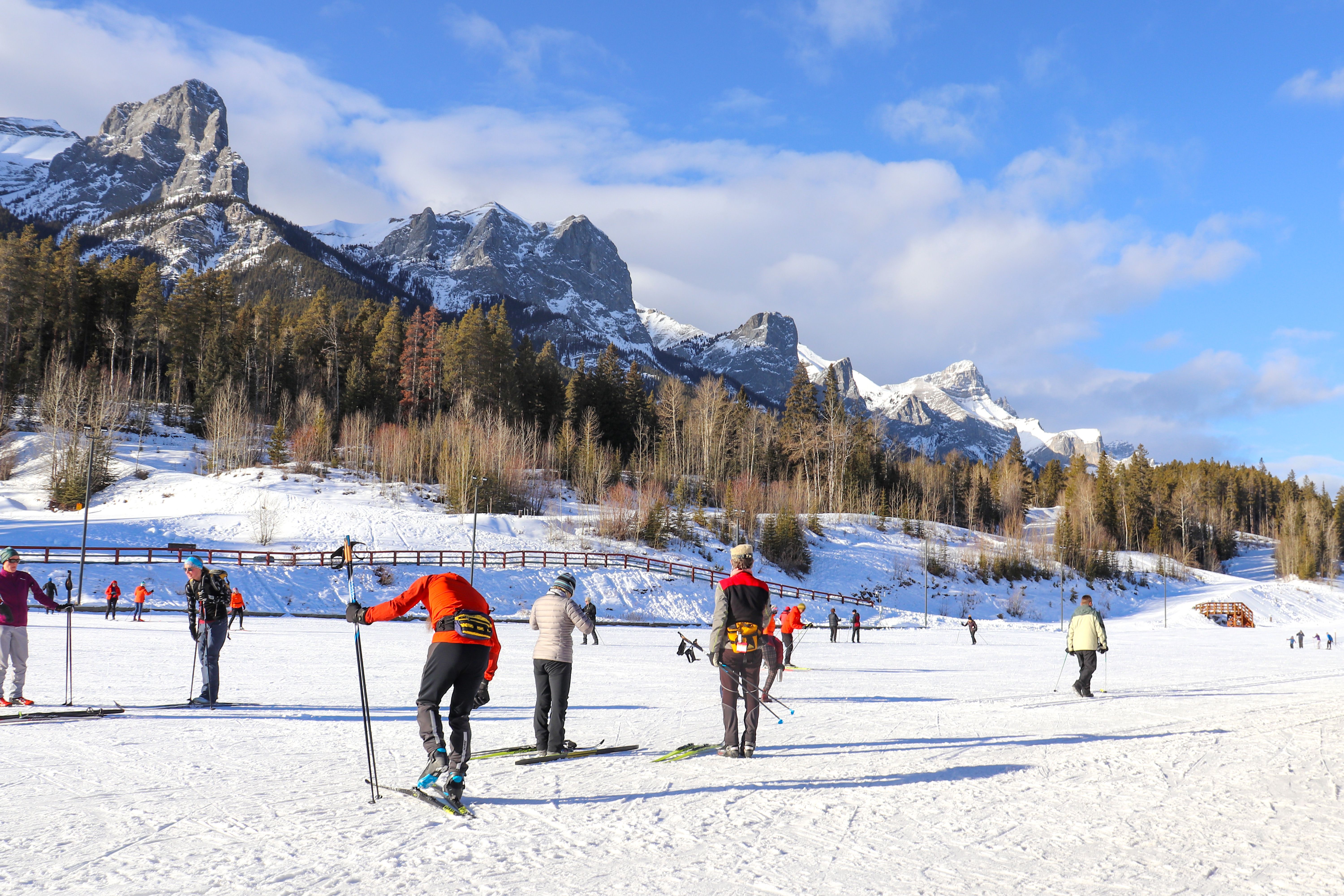 Scenic Cross-Country Skiing in Alberta Mountains · Free Stock Photo