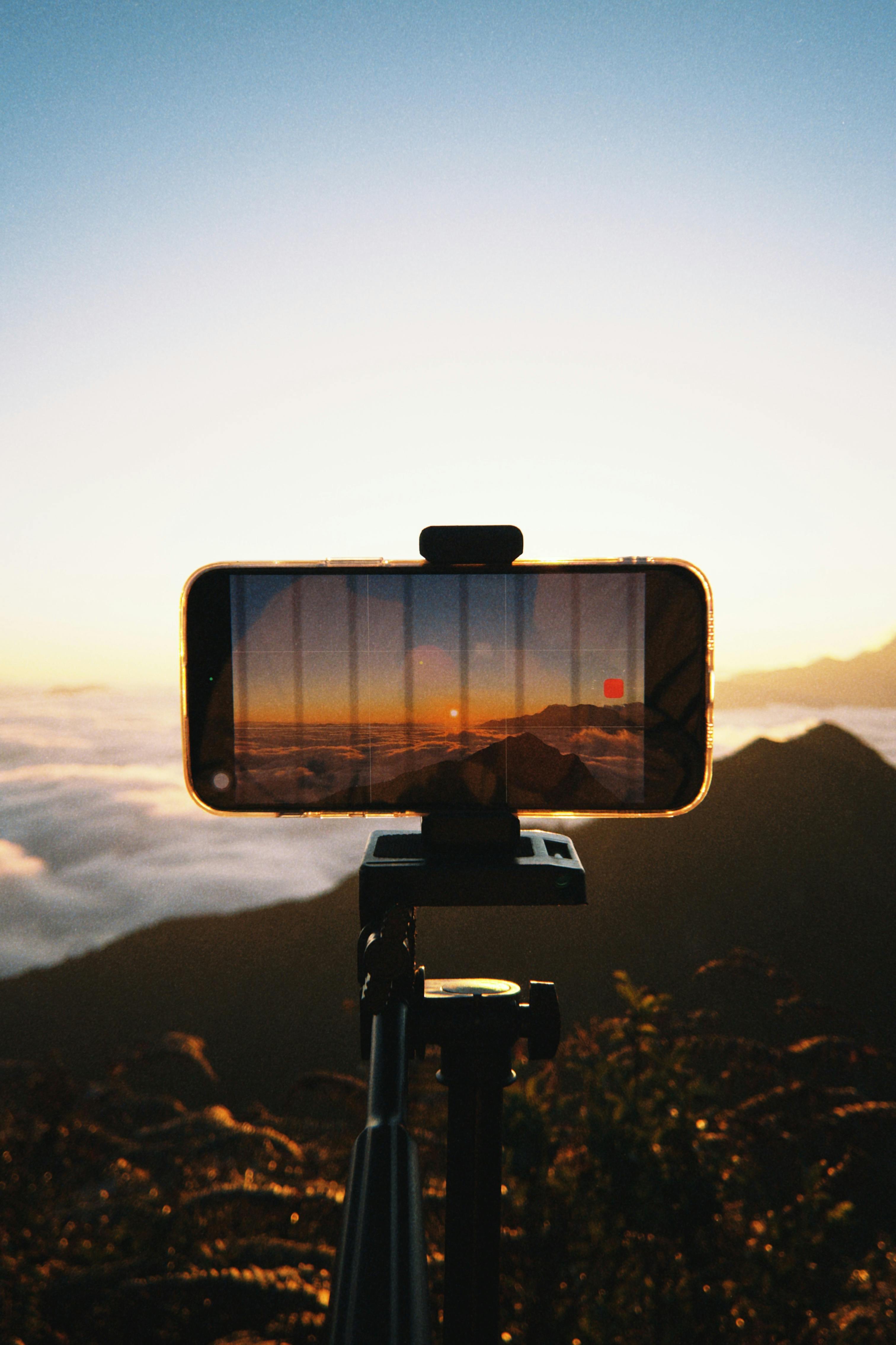 Xxxxx Video Mor Photos, Download The BEST Free Xxxxx Video Mor Stock ...