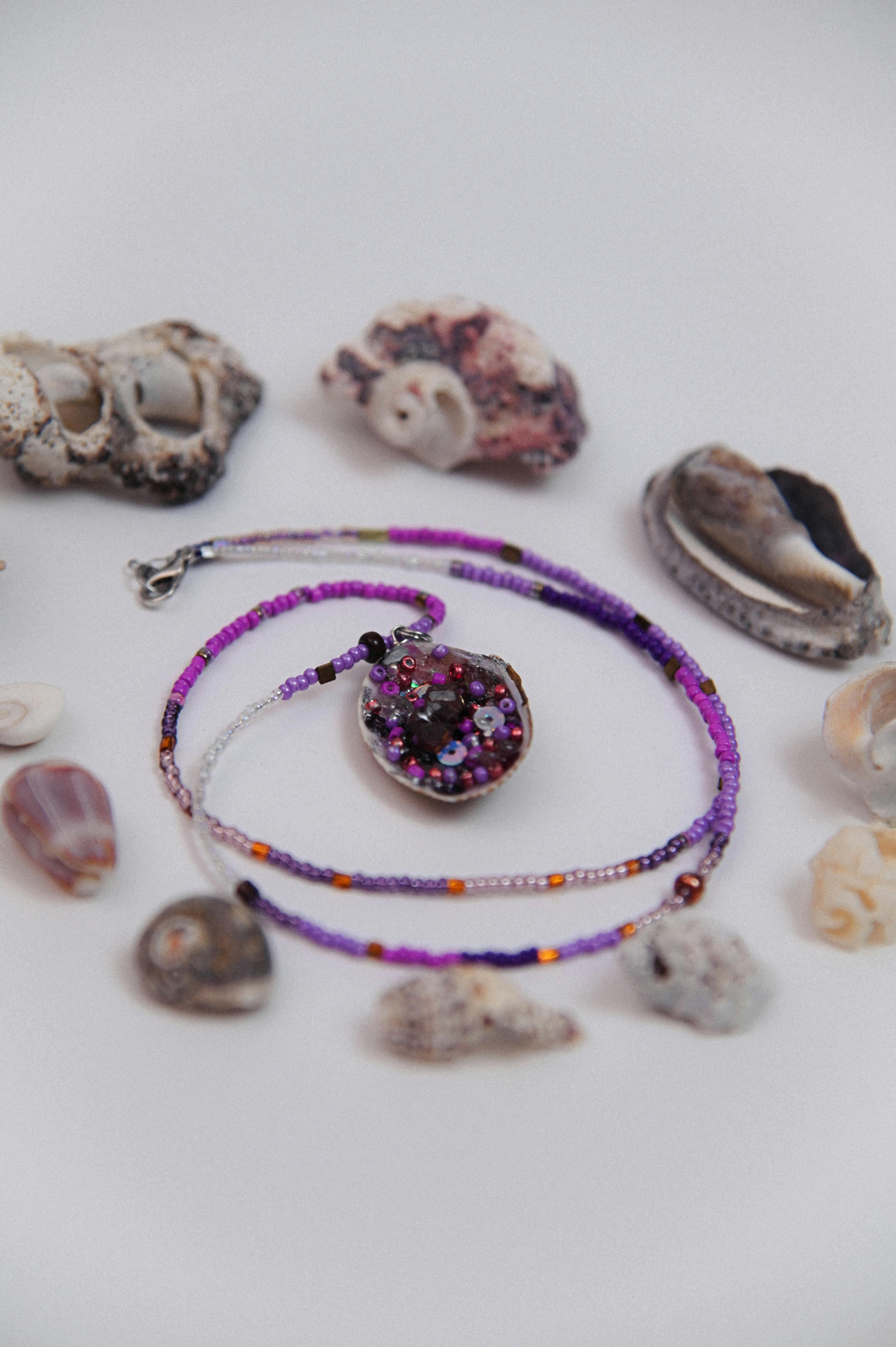 Seashells Photos, Download The BEST Free Seashells Stock Photos & HD Images