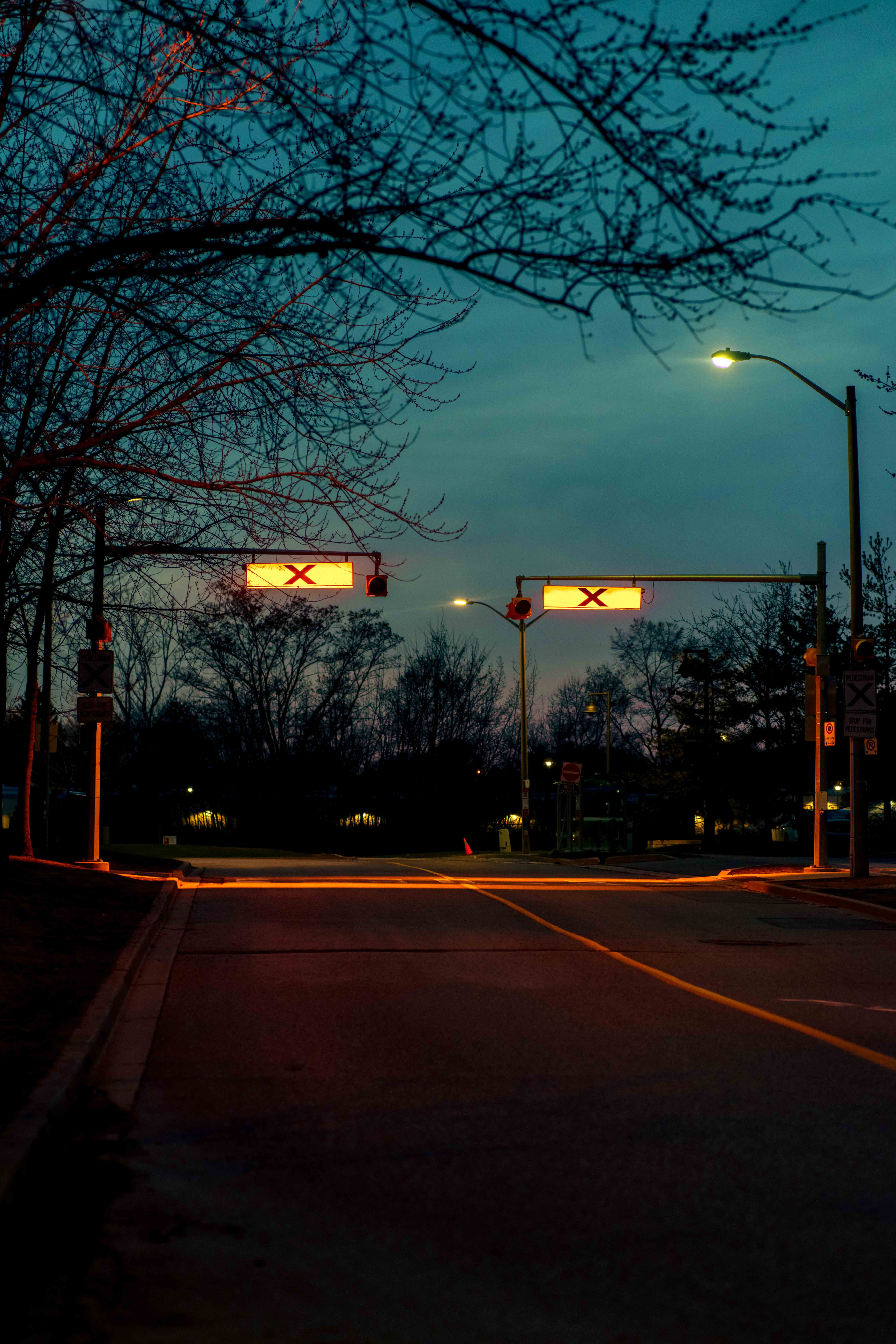Quiet Street Scene at Twilight with Traffic Signals · Free Stock Photo