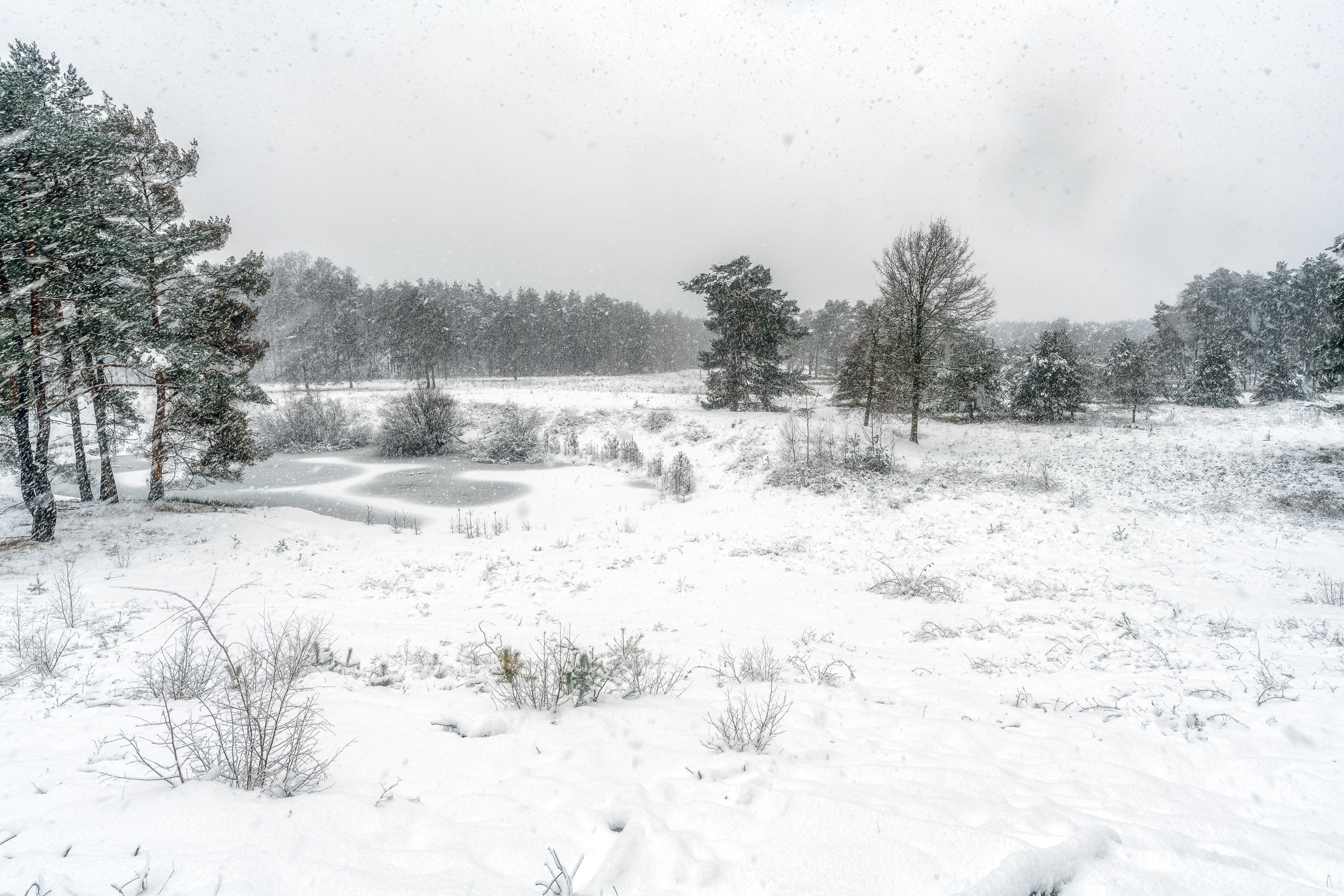 Blizzard Snow Photos, Download The BEST Free Blizzard Snow Stock Photos ...
