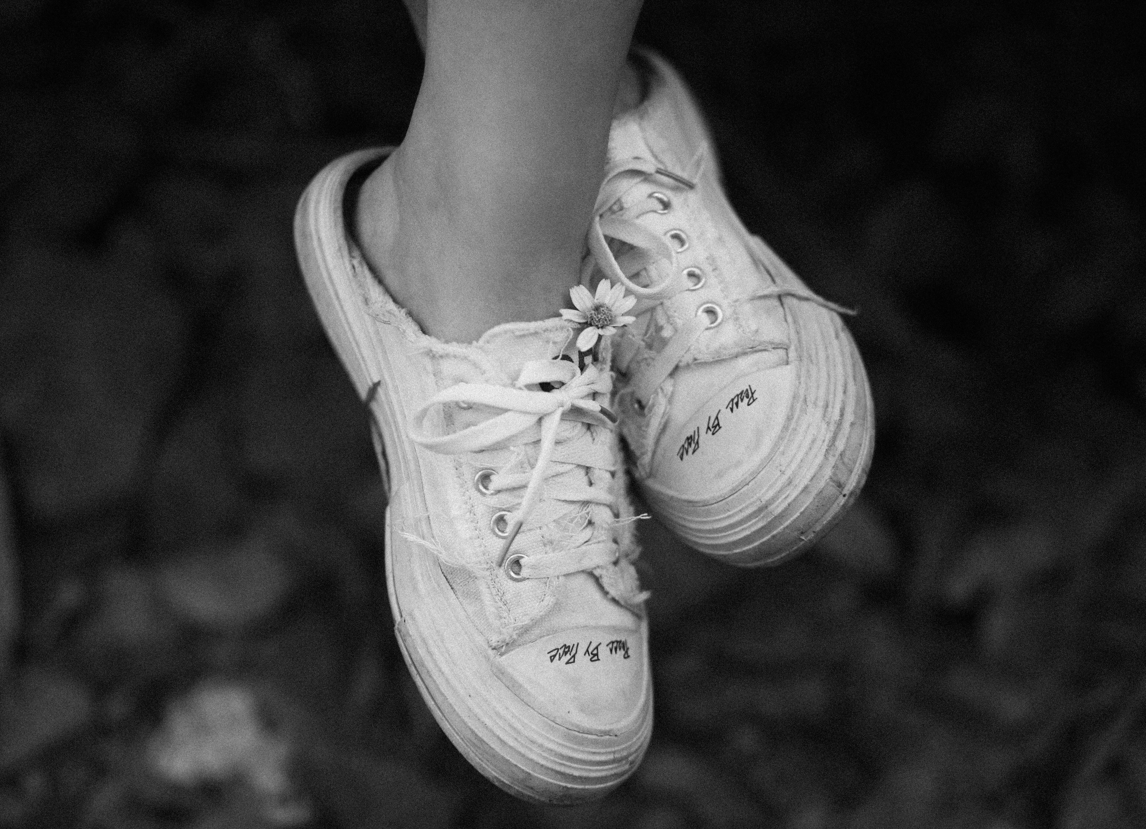 Leg+Ikmage Photos, Download The BEST Free Leg+Ikmage Stock Photos & HD ...