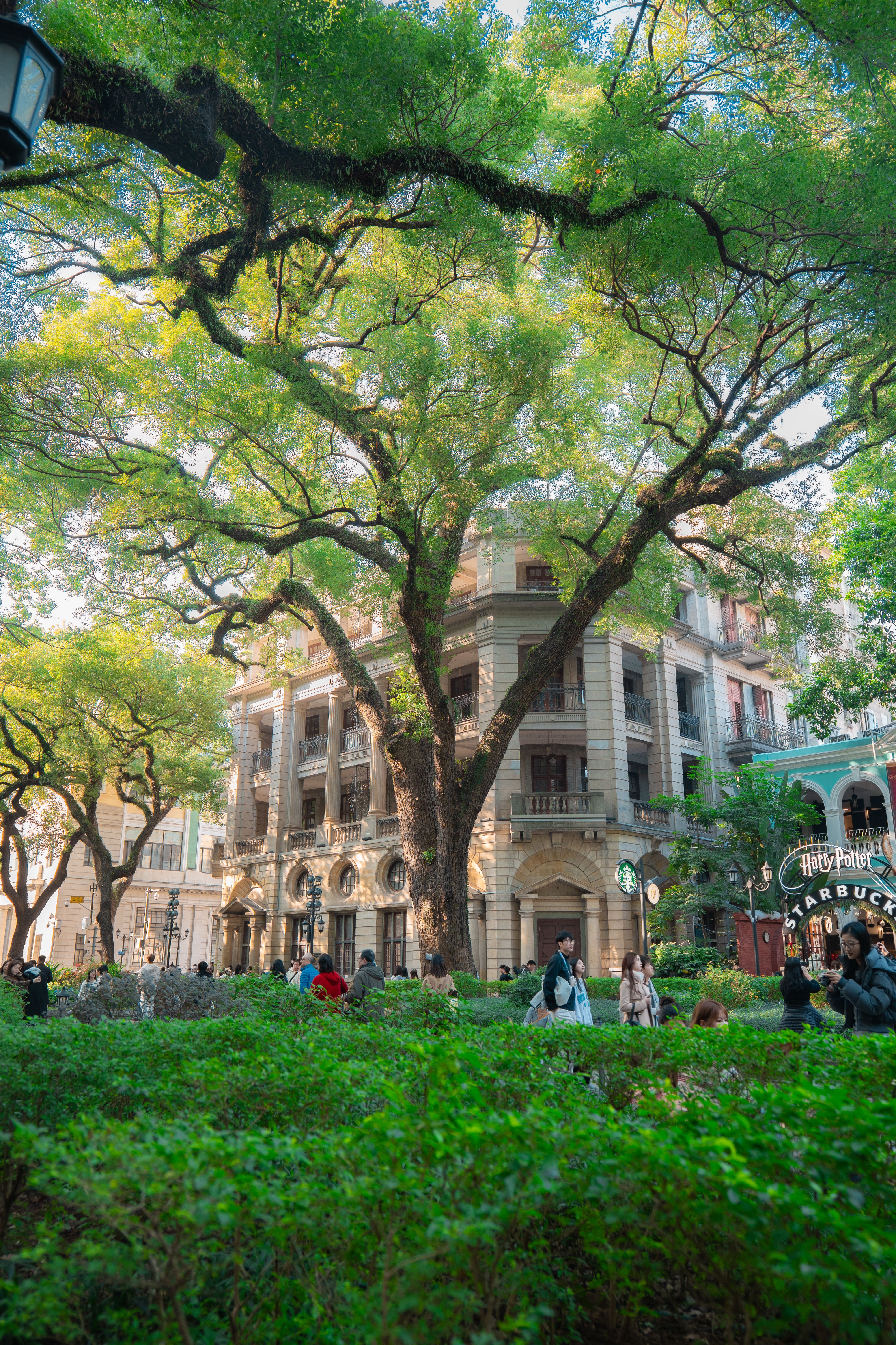 Charming Outdoor Scene with Historical Architecture · Free Stock Photo