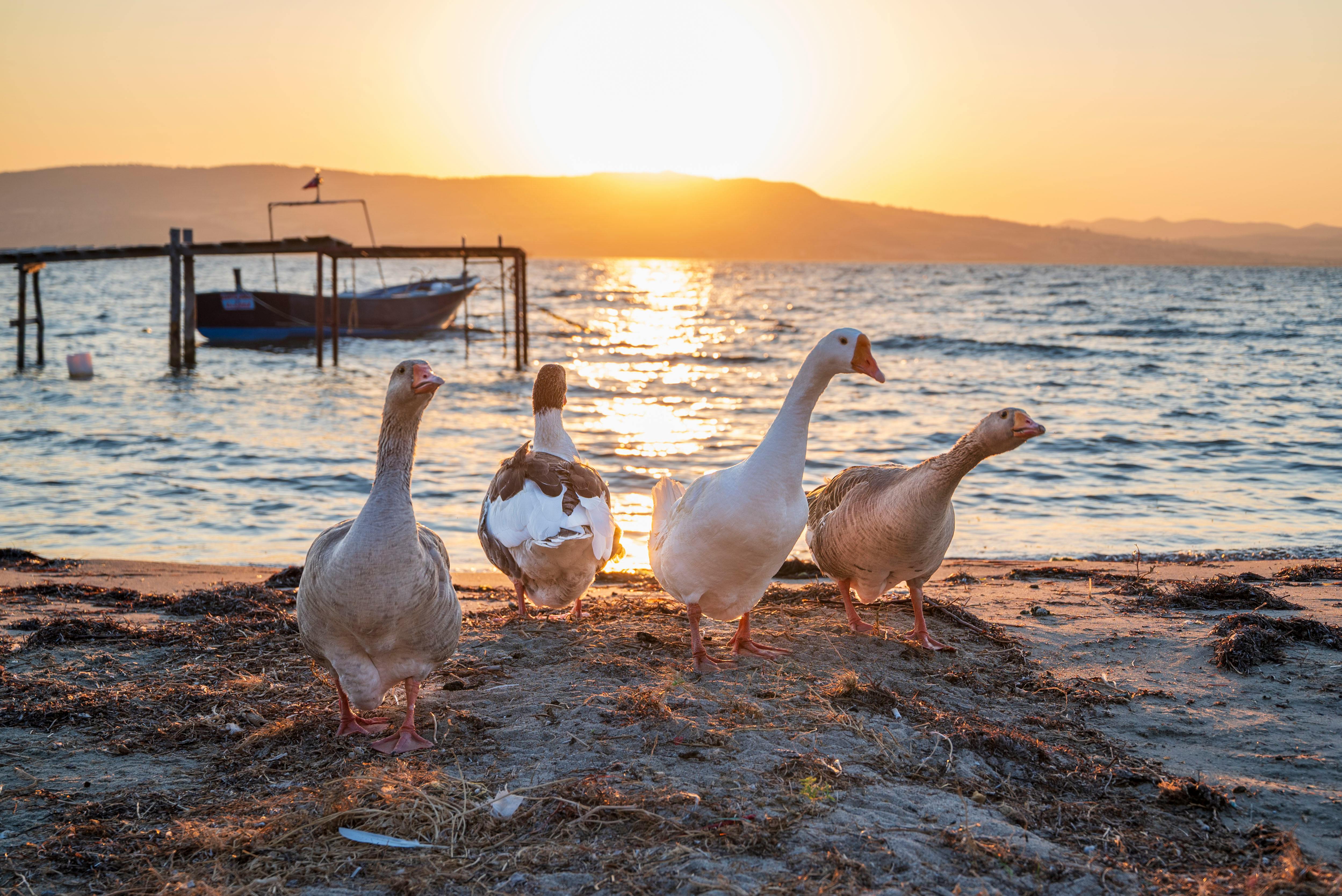 Sun 81 Photos, Download The BEST Free Sun 81 Stock Photos & HD Images