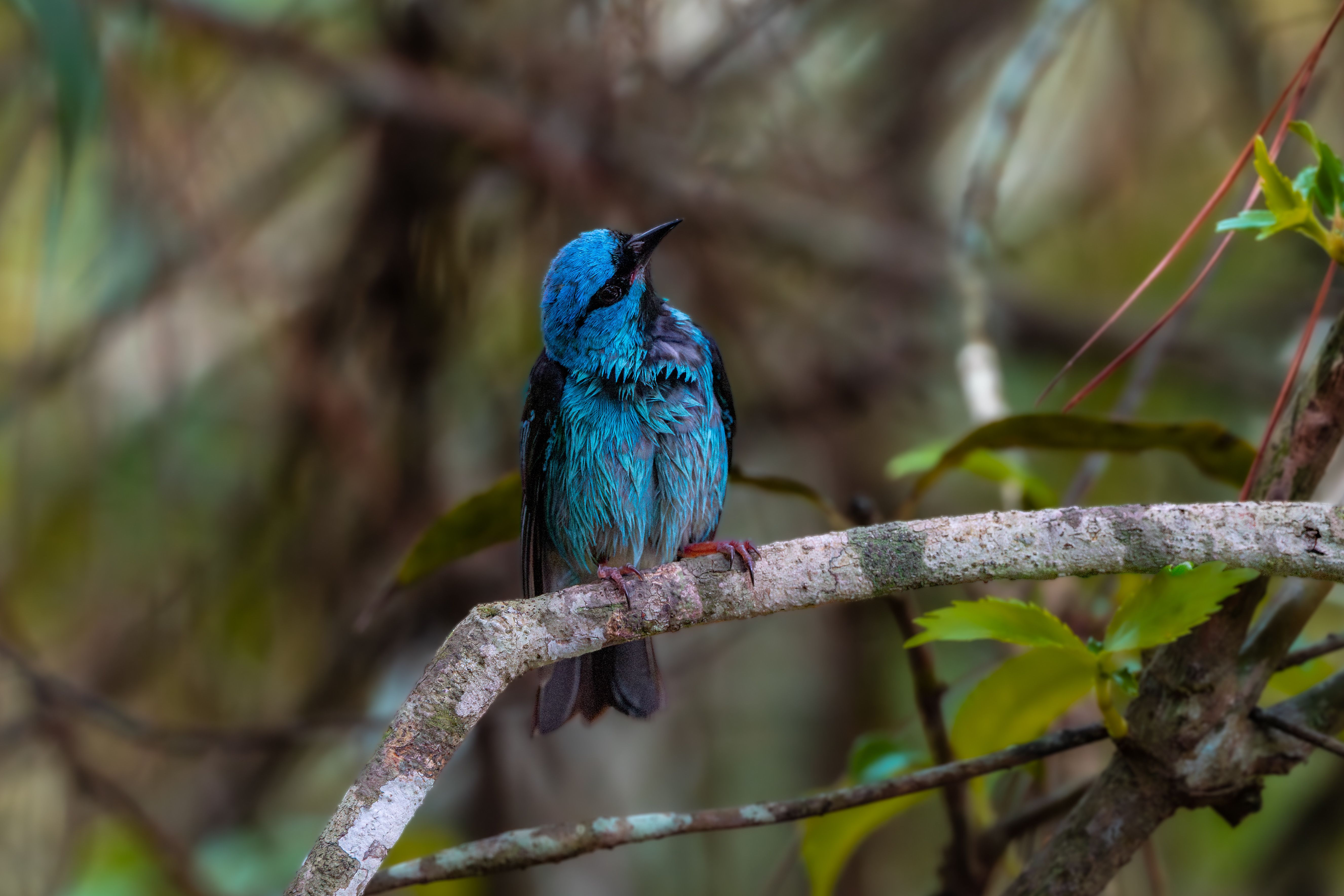 Amazon+Hd10 Photos, Download The BEST Free Amazon+Hd10 Stock Photos ...