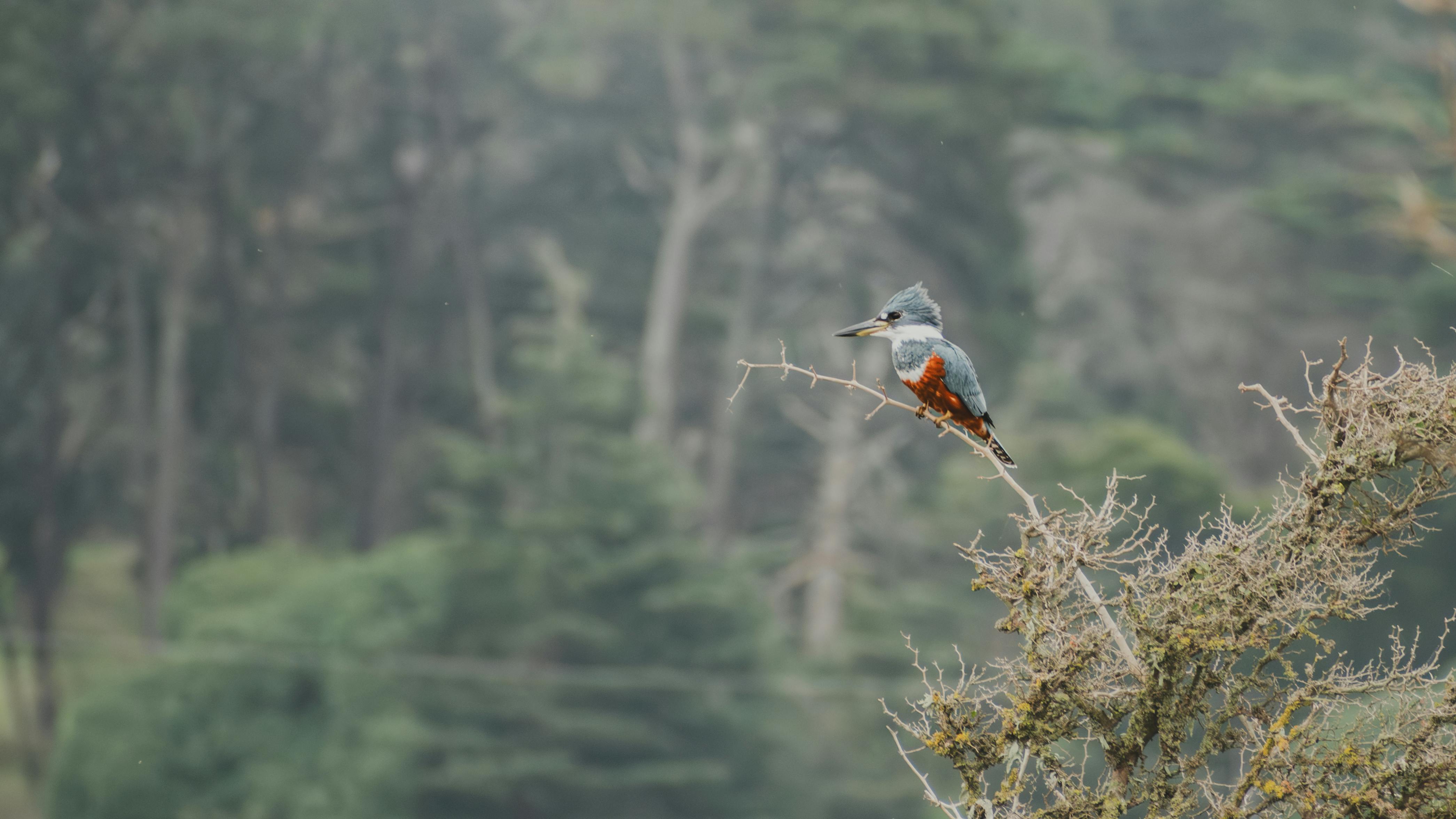 Homebankin+Banco+Provincia Photos, Download The BEST Free Homebankin ...