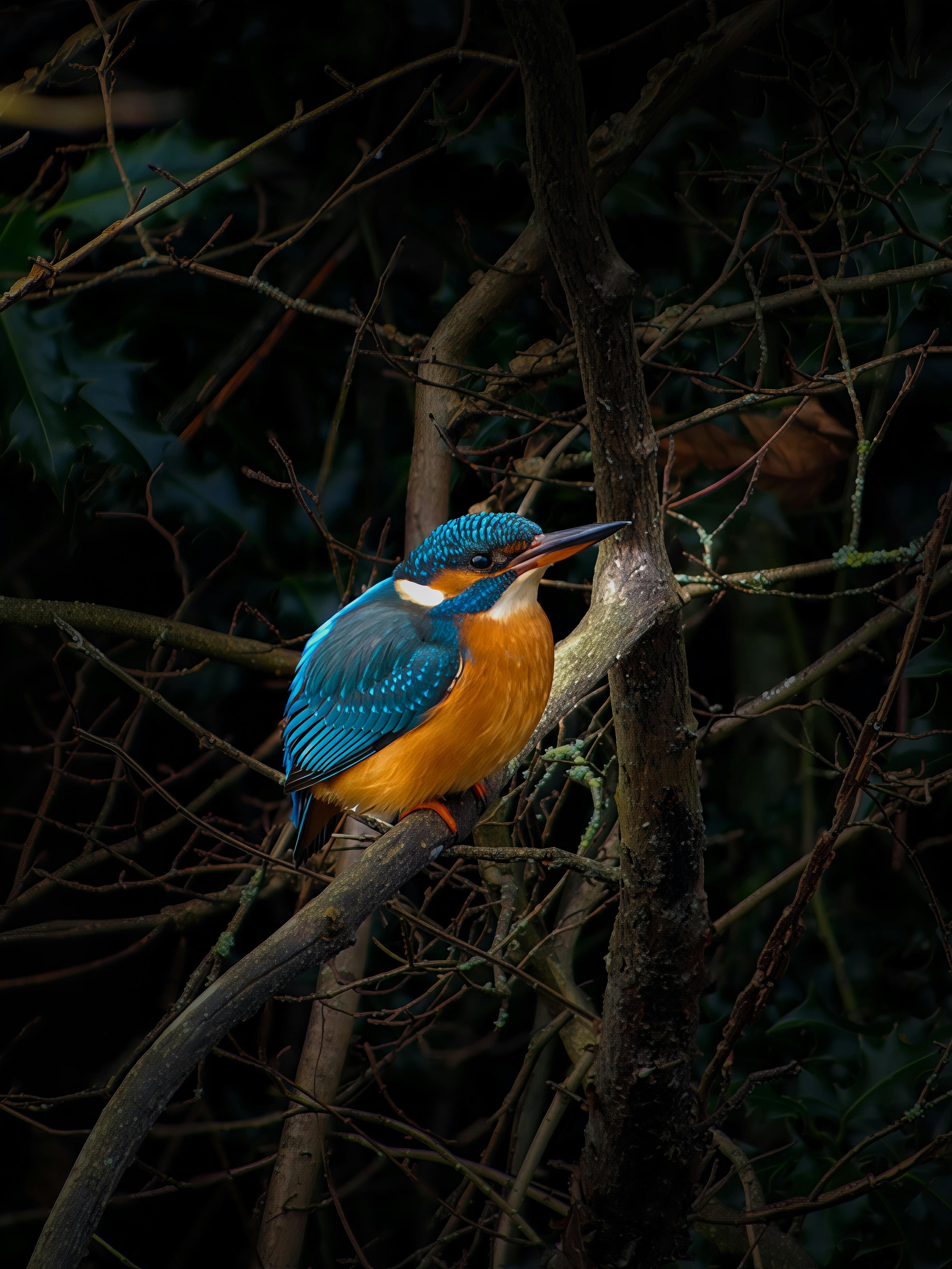 Smilefile+Camera Photos, Download The BEST Free Smilefile+Camera Stock ...