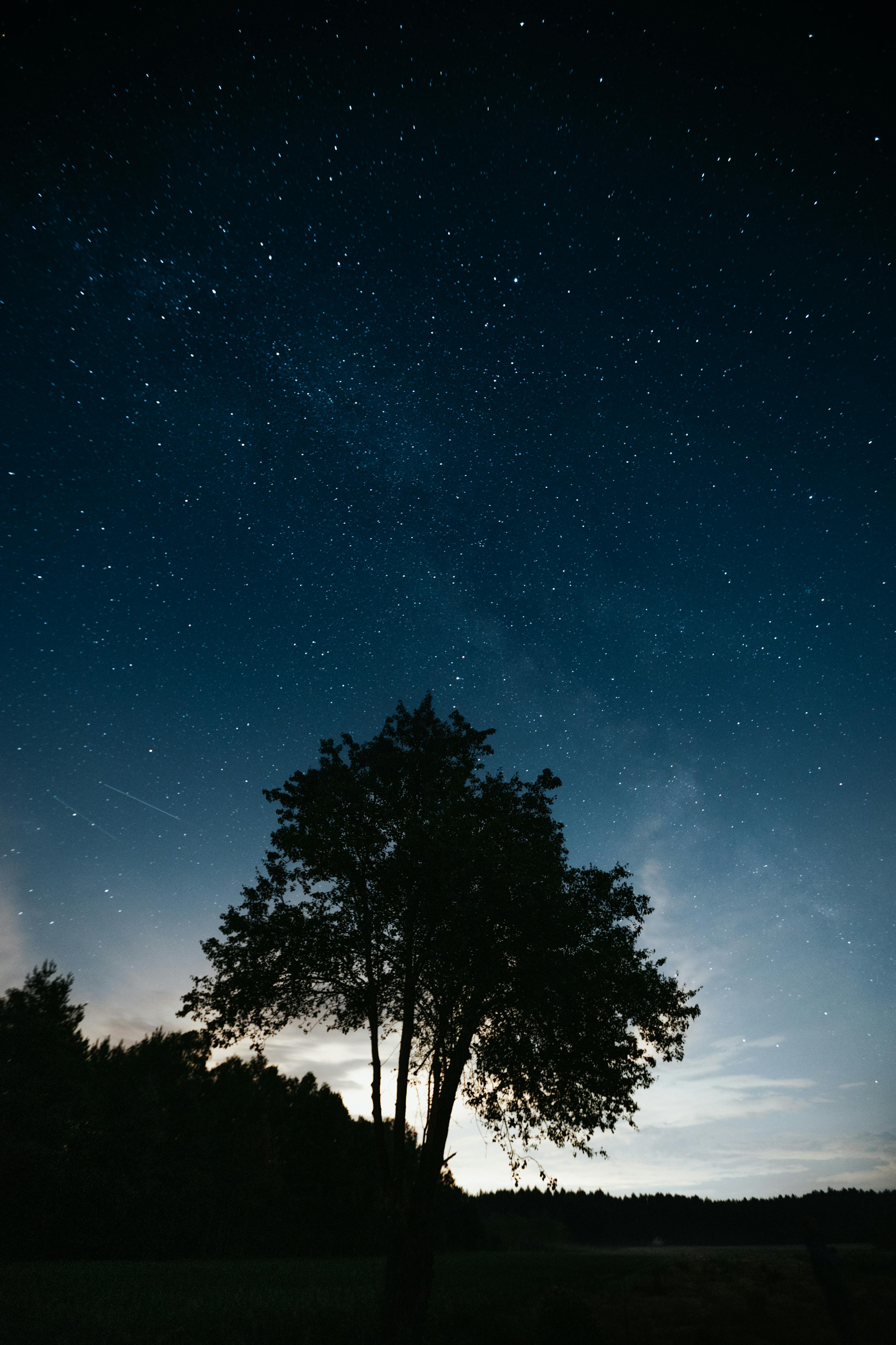 Starry Field Photos, Download The BEST Free Starry Field Stock Photos ...