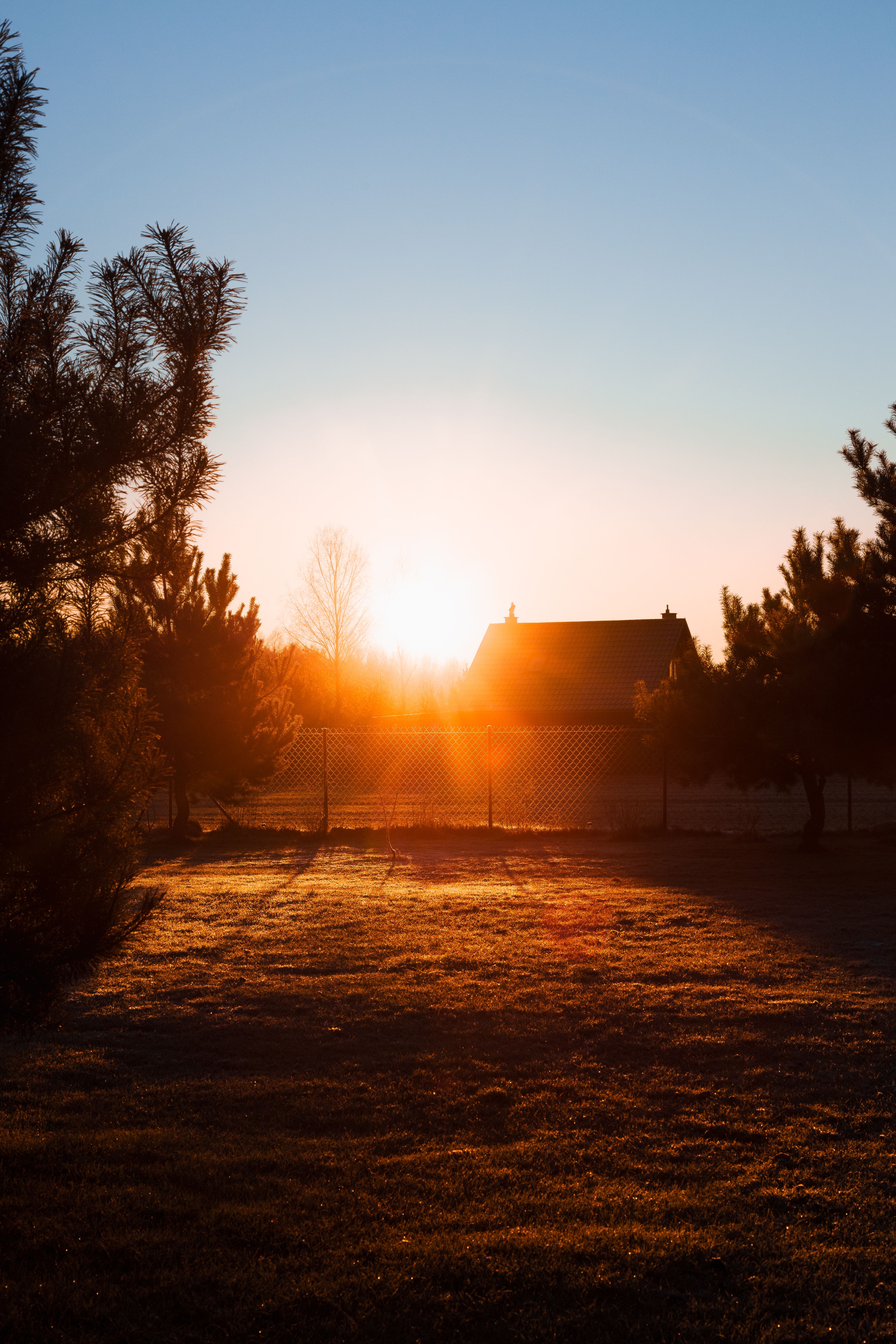 Idyllic Sunrise Over Rural Landscape with Trees · Free Stock Photo