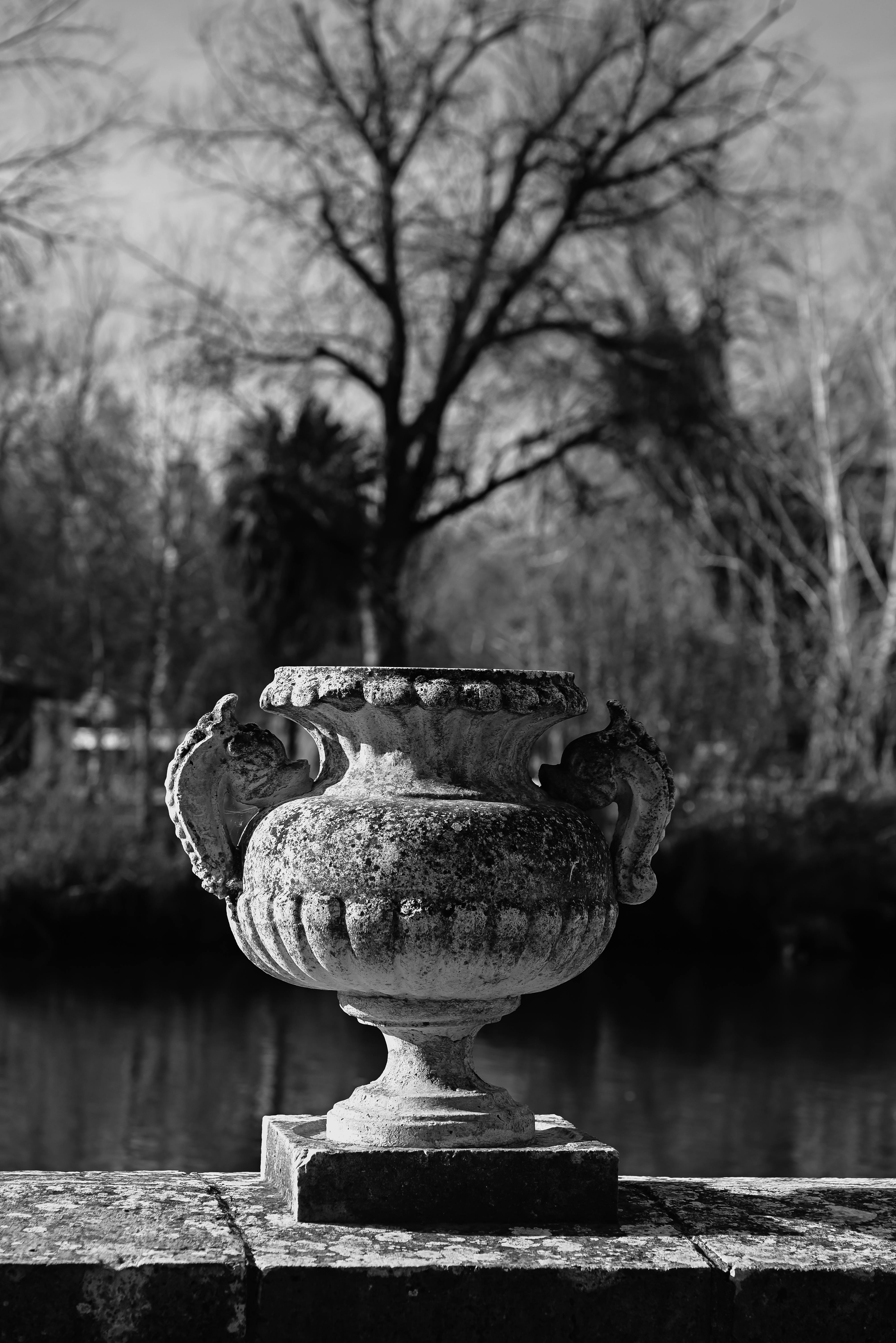 Sixty+Three+Years+Old Photos, Download The BEST Free Sixty+Three+Years ...