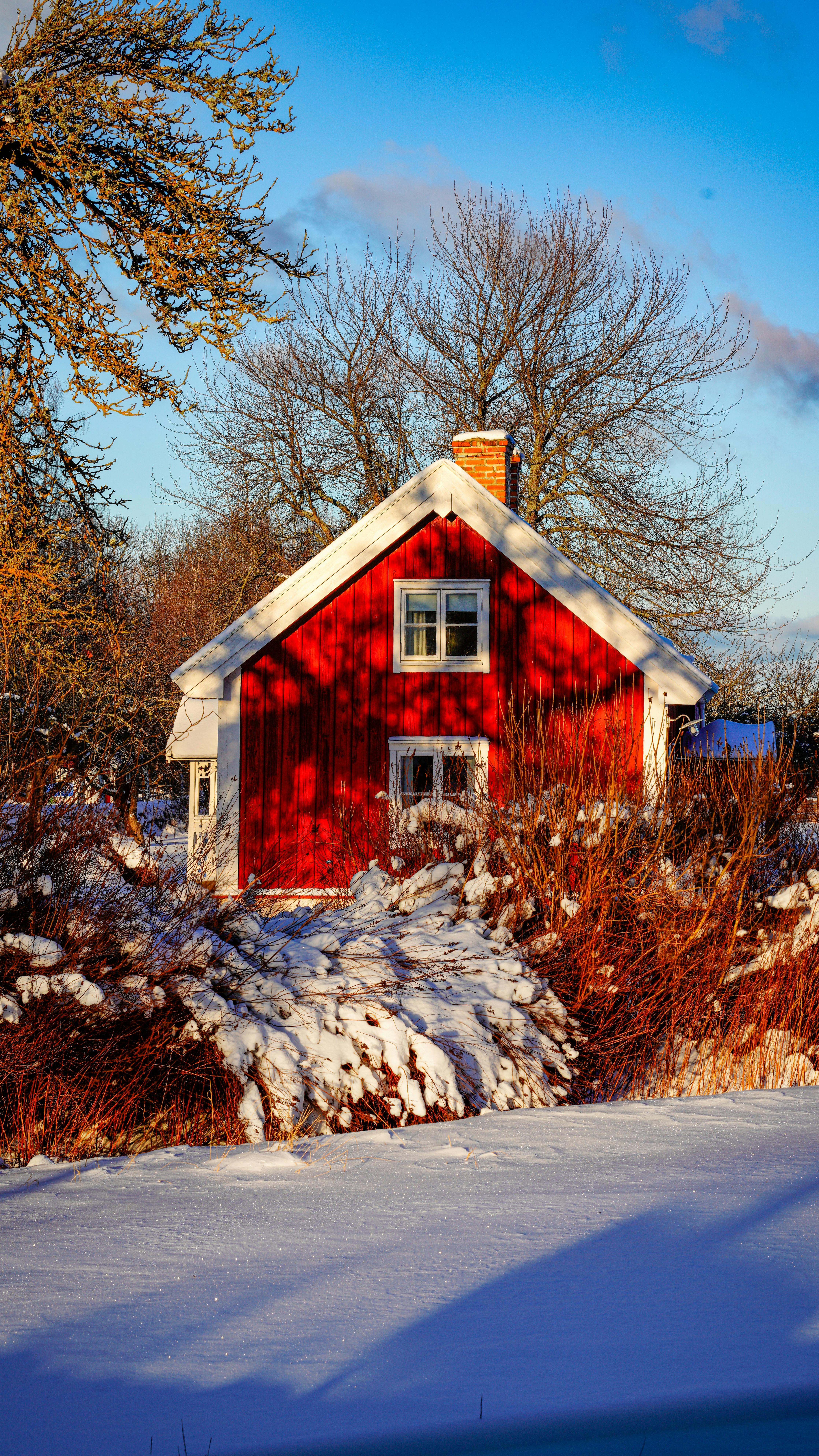 En İyi 10.000+ Picture+this Fotoğrafı · Tamamen Ücretsiz İndirin ...