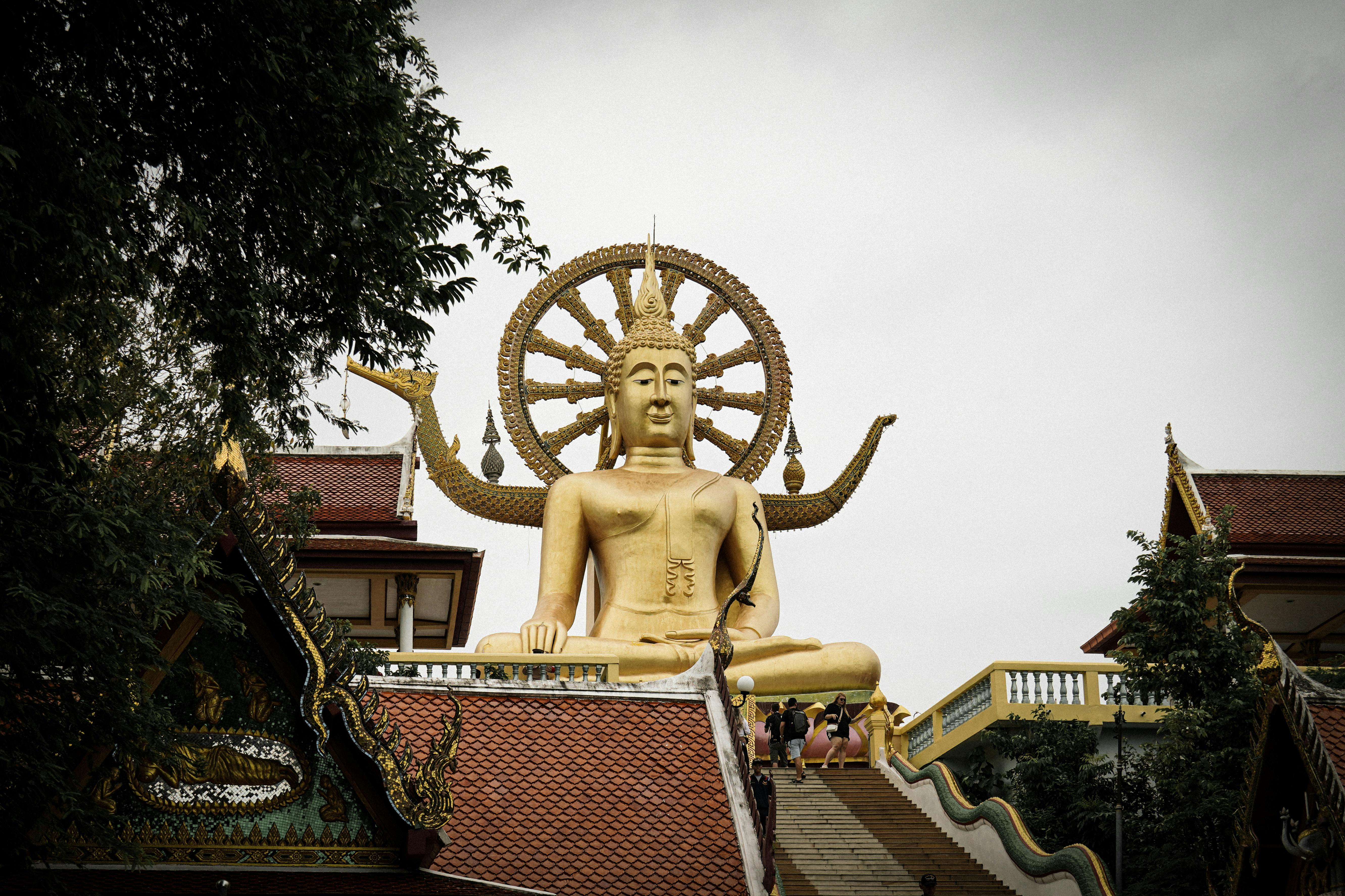 En İyi 10.000+ Picture+this Fotoğrafı · Tamamen Ücretsiz İndirin ...