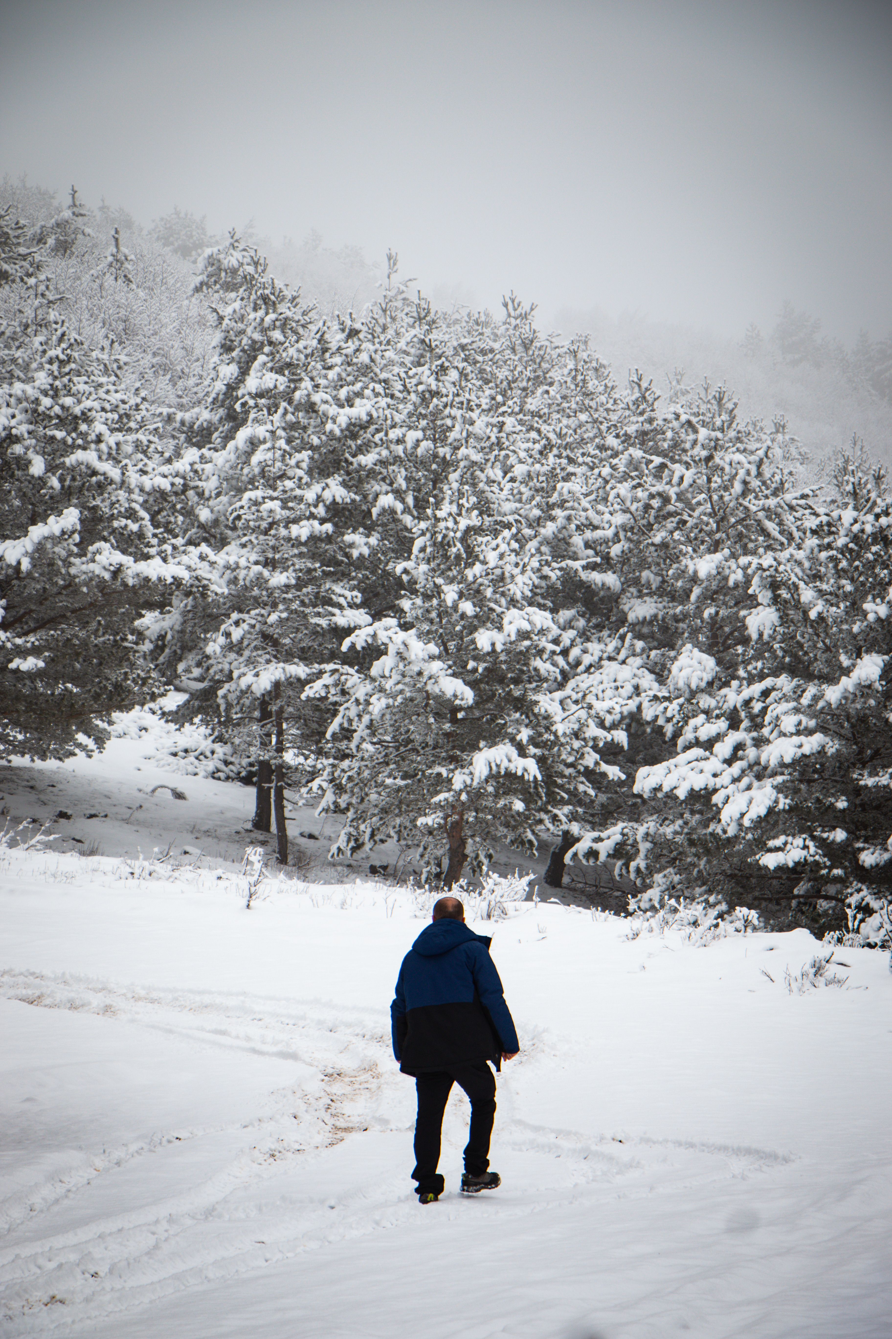 Wandering Photos, Download The BEST Free Wandering Stock Photos & HD Images