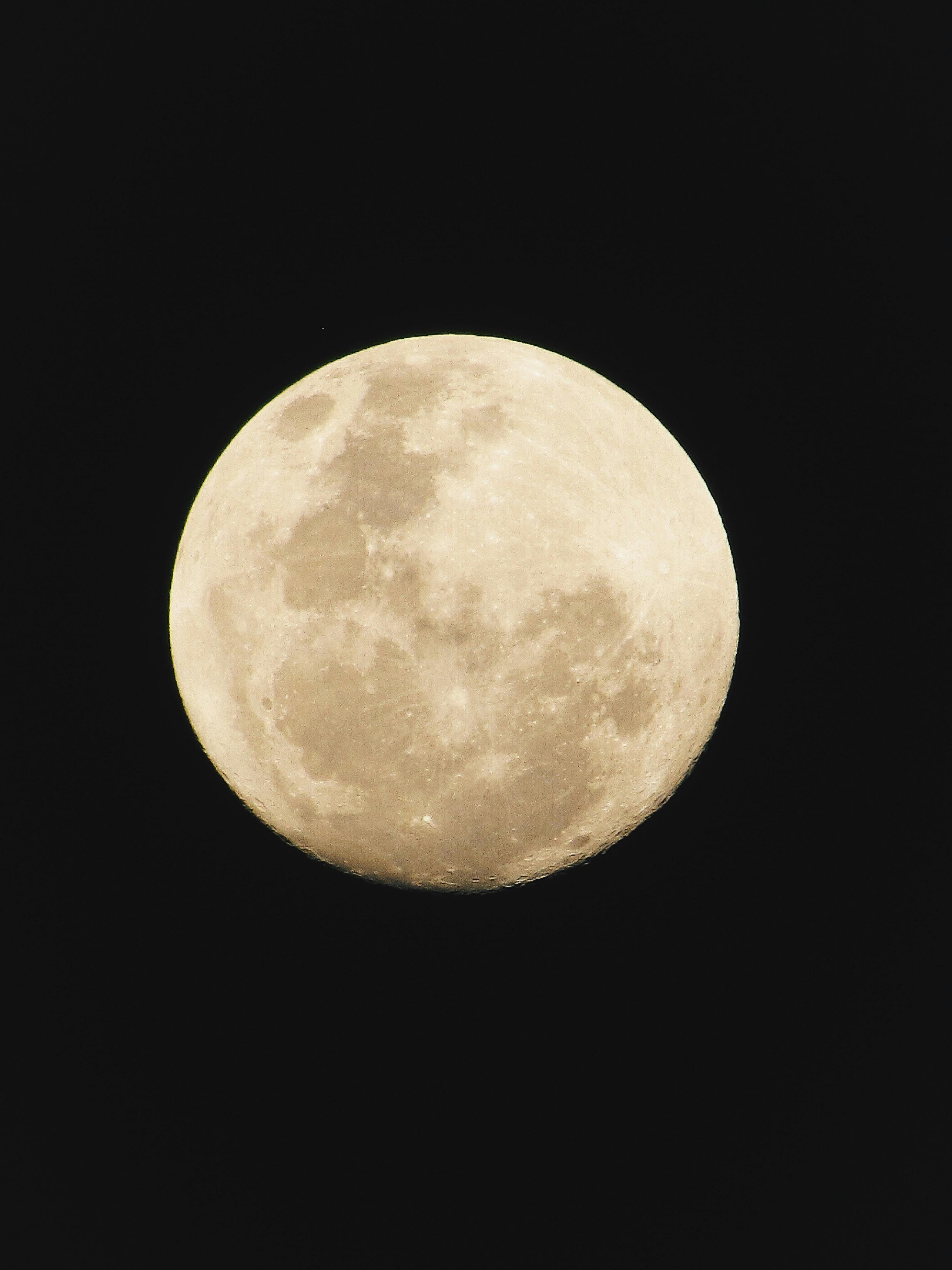 Ww2 Xjxj292 Orb Photos, Download The BEST Free Ww2 Xjxj292 Orb Stock ...