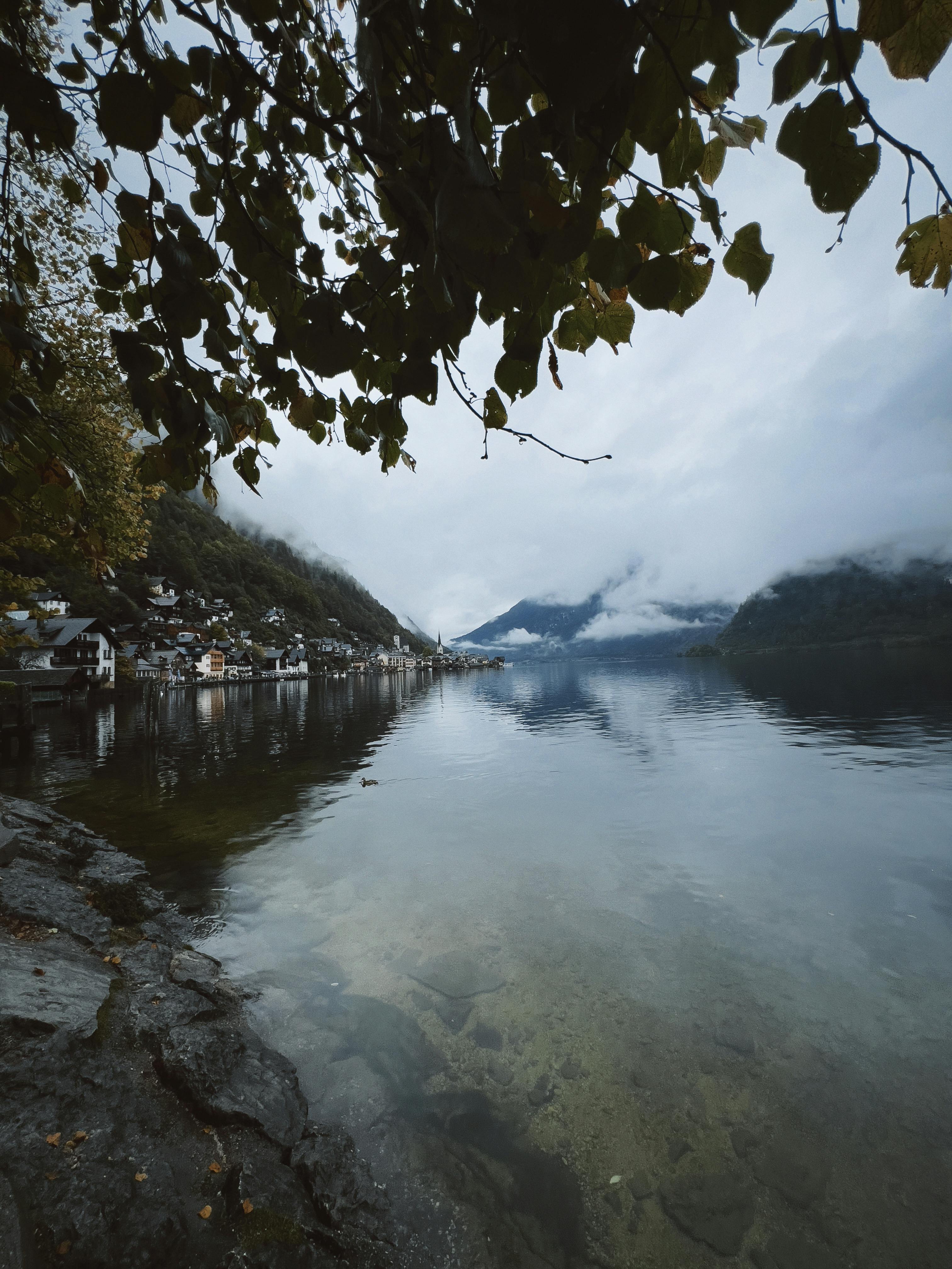 å+Miste+Votten+Clipart Photos, Download The BEST Free å+Miste+Votten ...