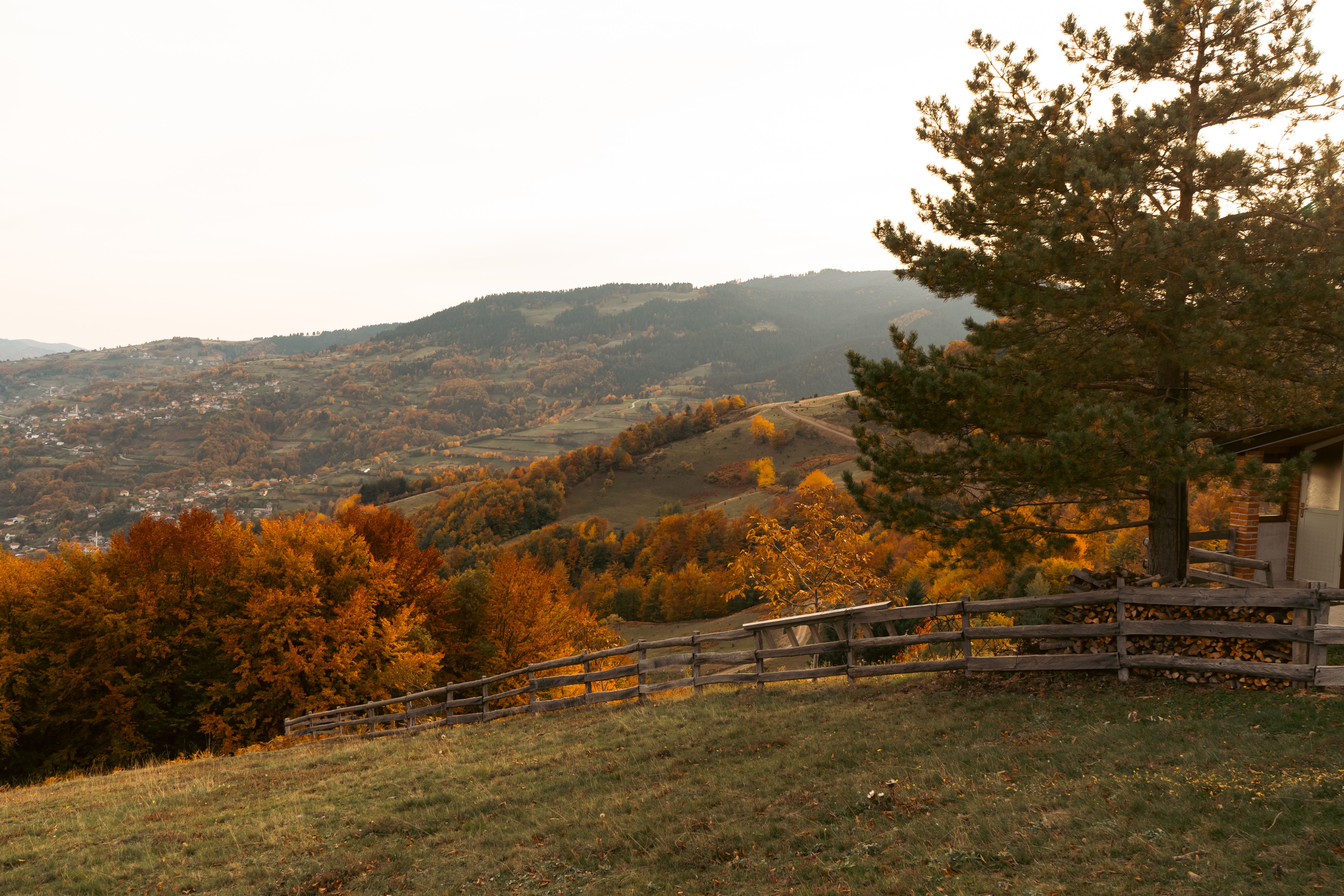 Scenic Autumn Landscape with Rolling Hills and Trees · Free Stock Photo