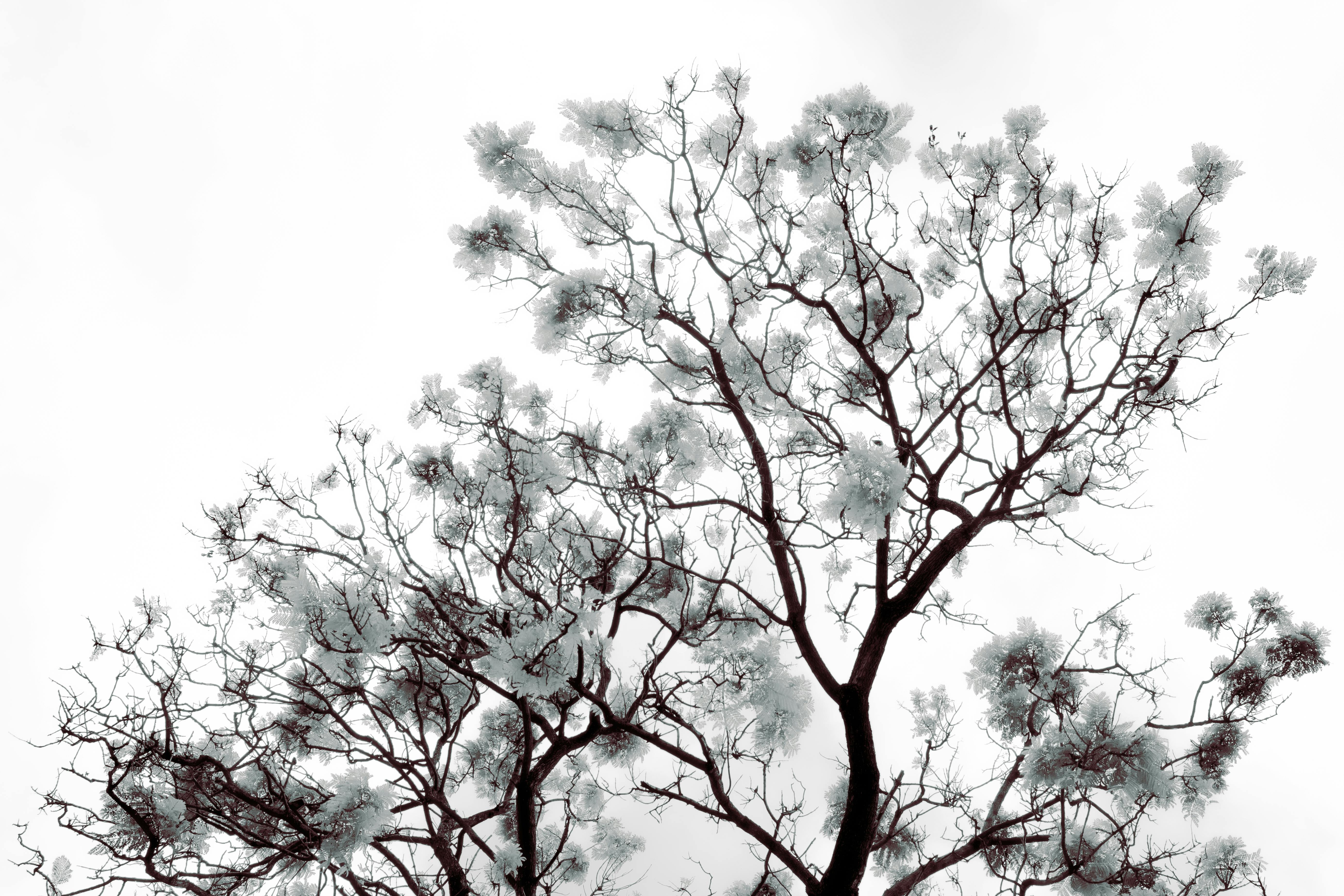 Beauty Simple Abstract Photos, Download The BEST Free Beauty Simple ...