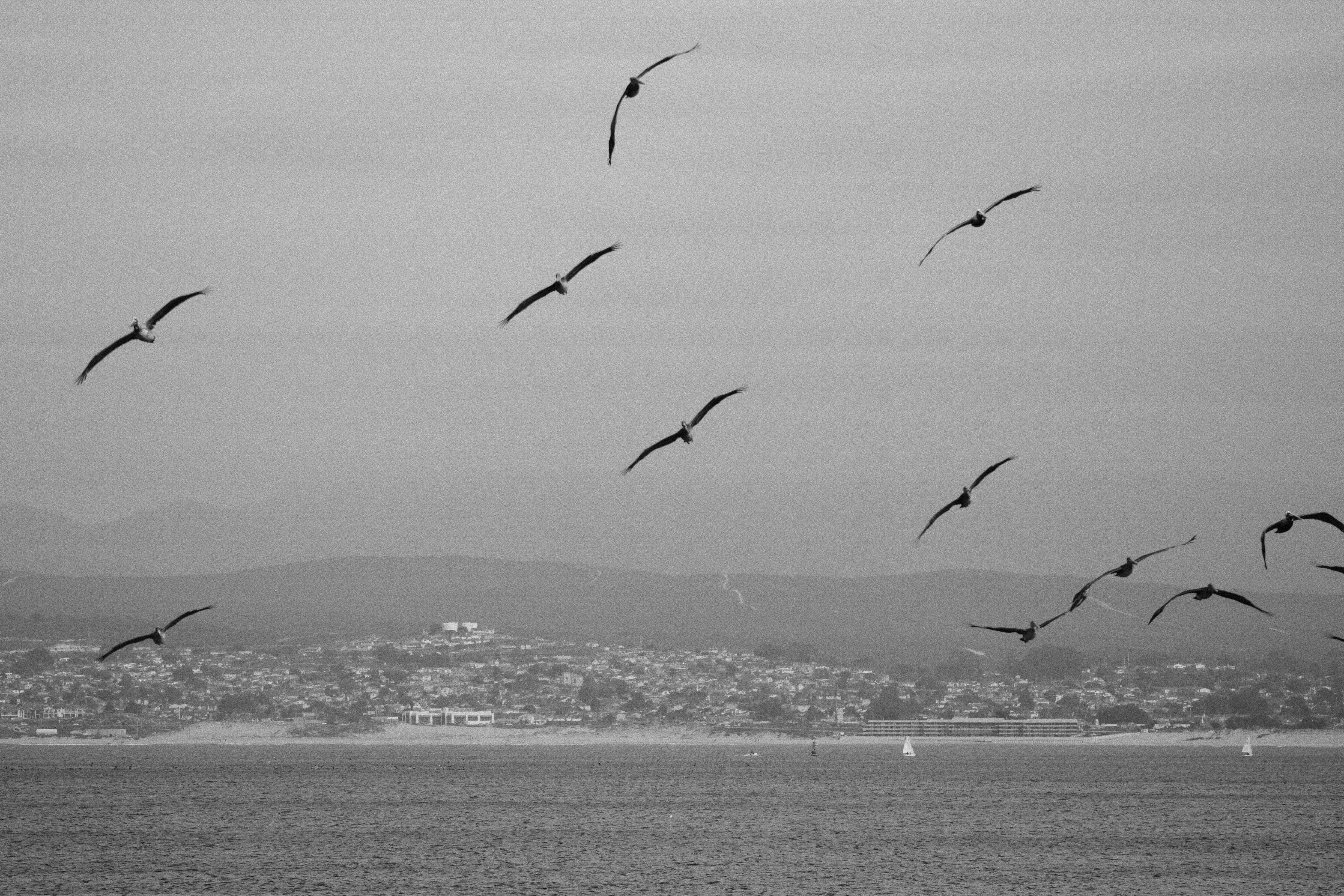 90.000+ Anatomy+of+the+foot Bilder und Fotos · Kostenlos Downloaden ...