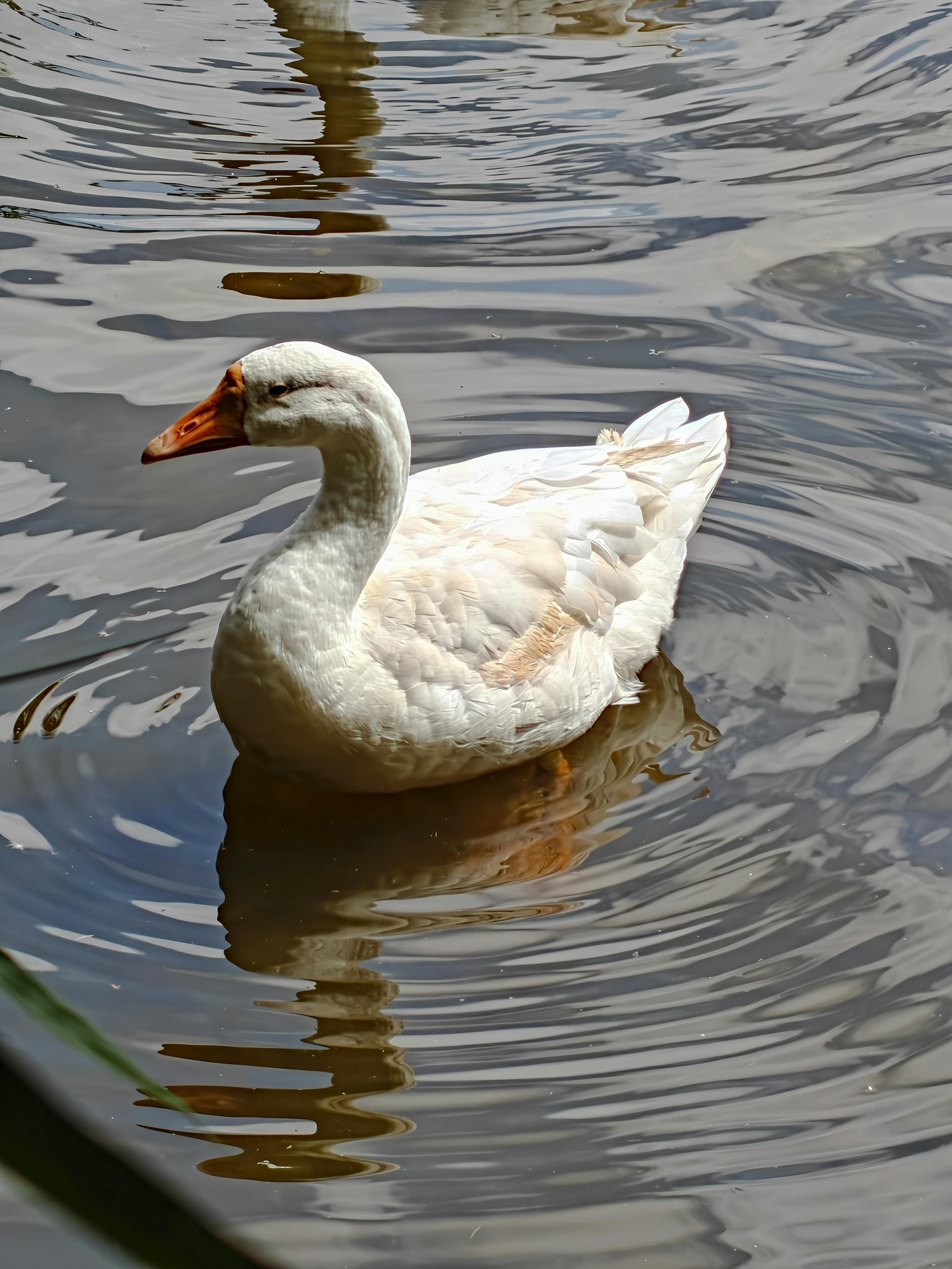 Nullscapes+Wallpaper+4k Photos, Download The BEST Free Nullscapes ...