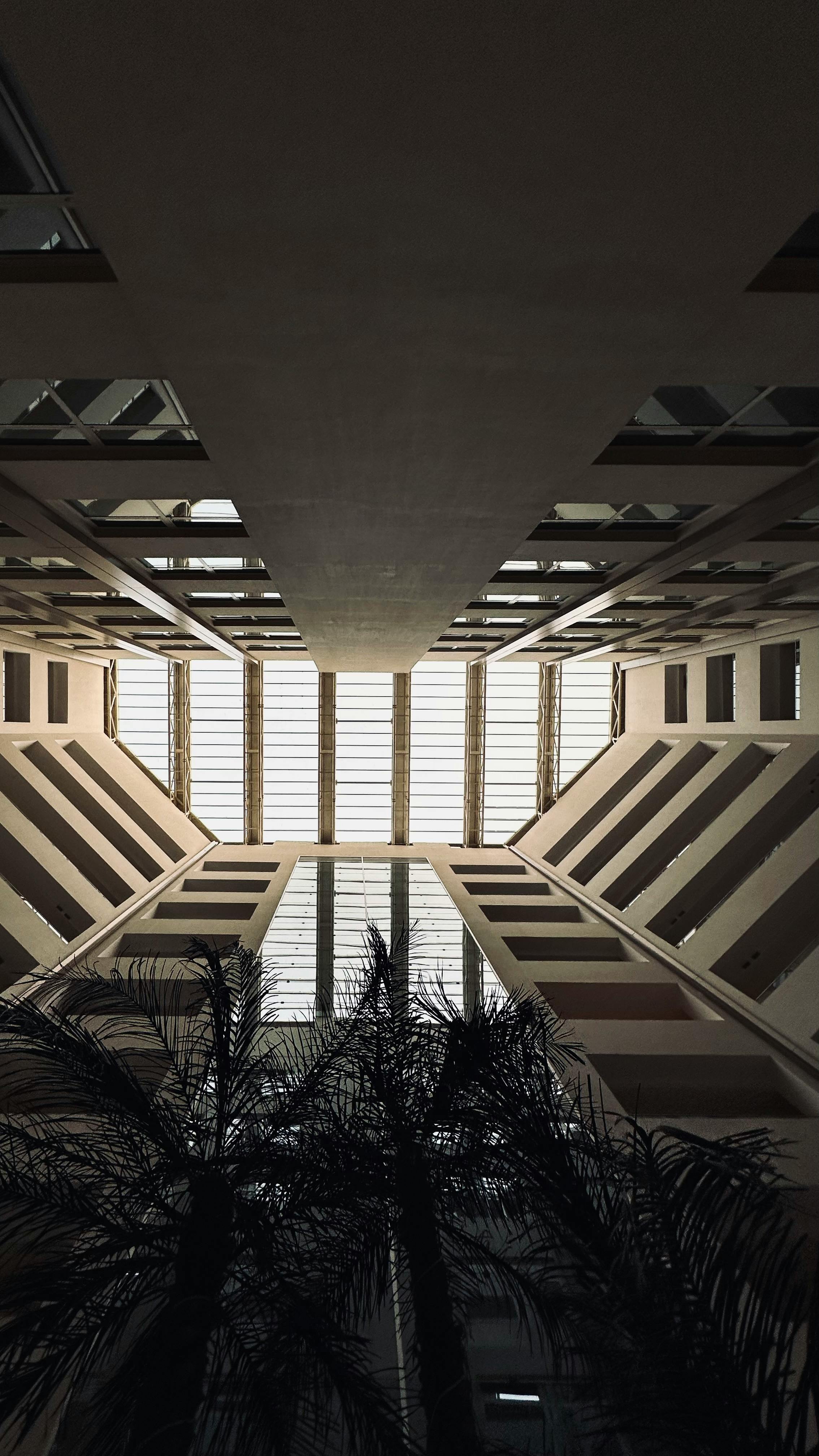 Modern atrium interior with skylight and palm trees · Free Stock Photo