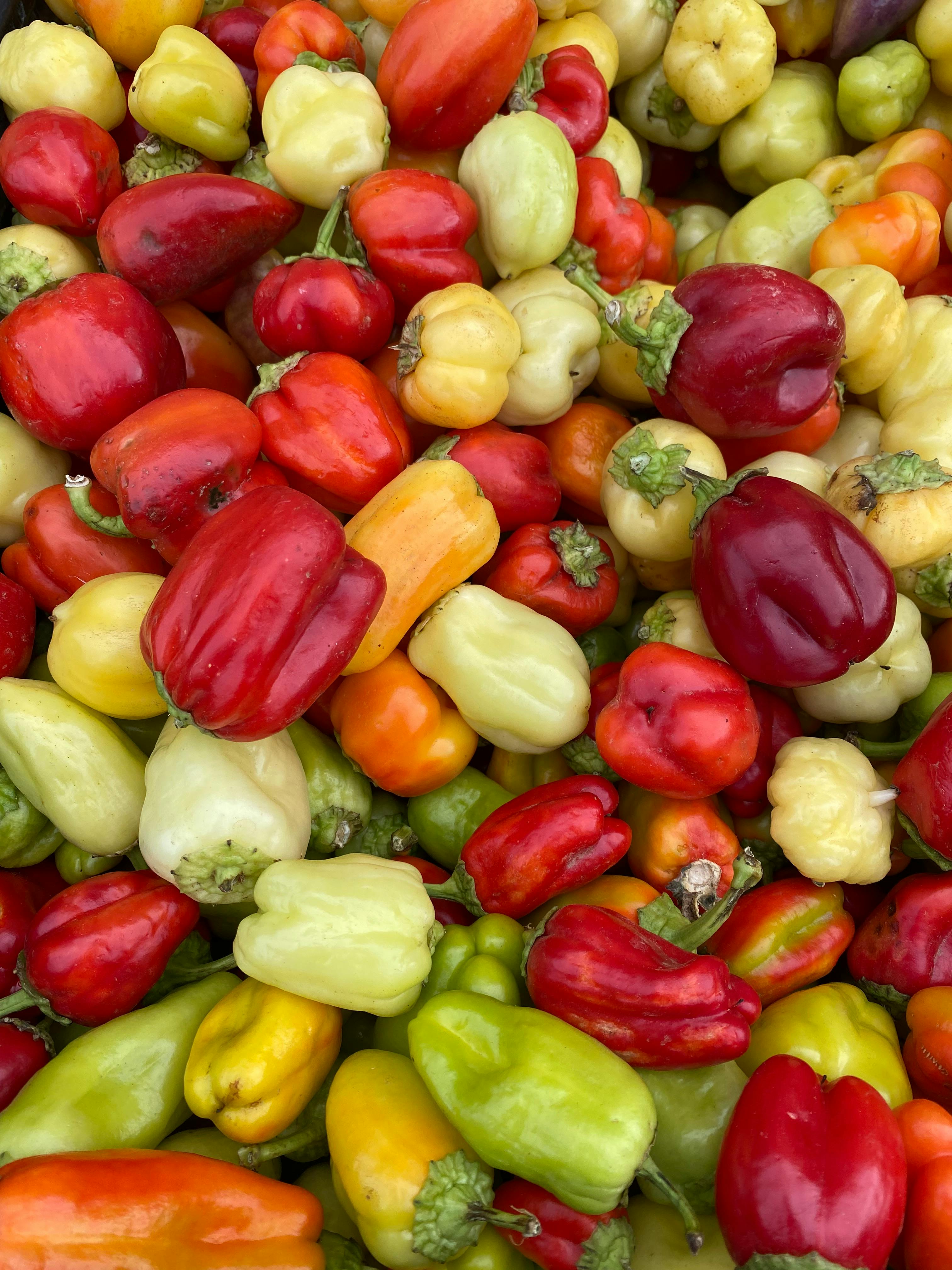 Xxxx+Xc+B+C+N Photos, Download The BEST Free Xxxx+Xc+B+C+N Stock Photos ...