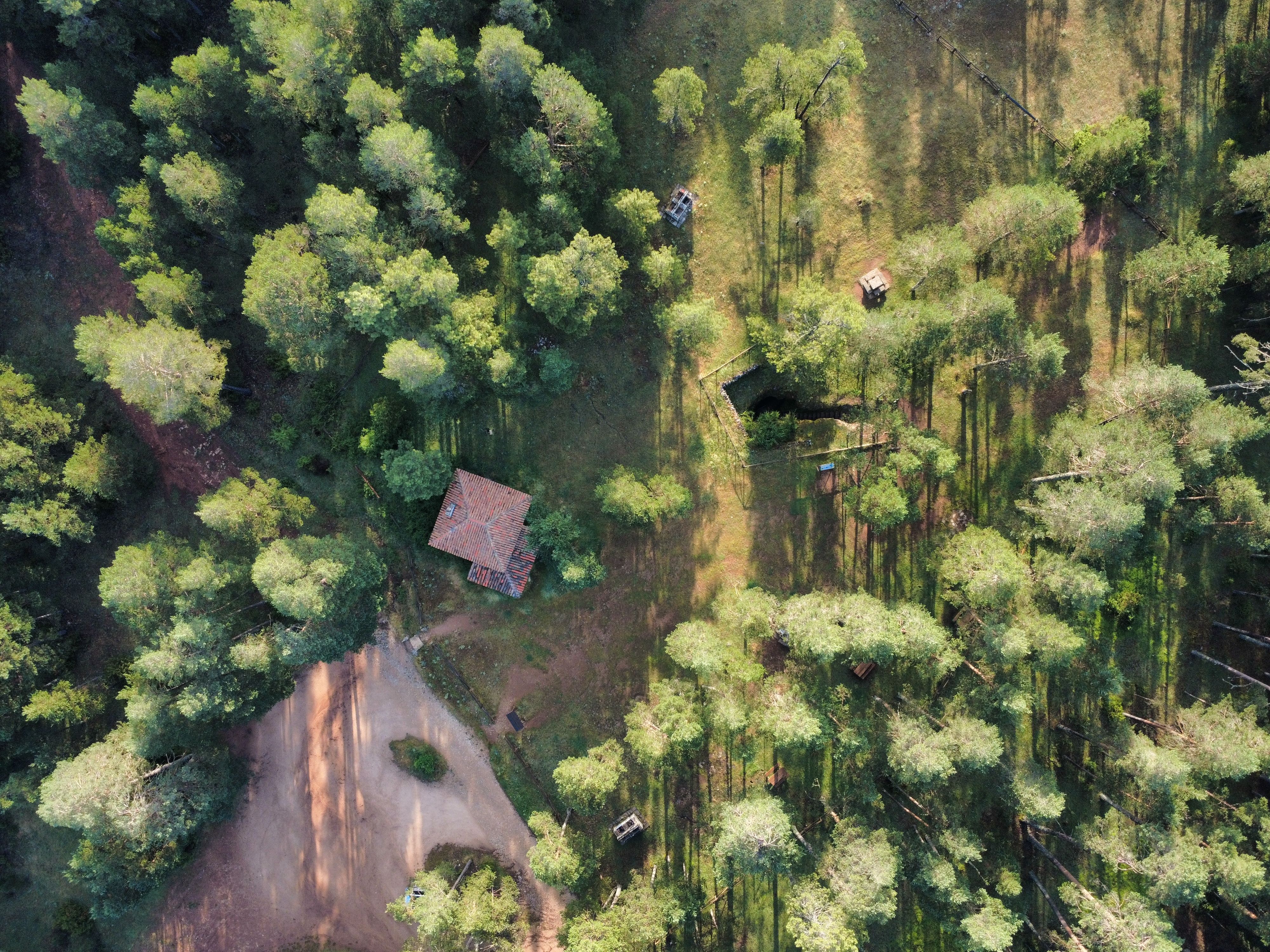 Aerial View of Forest Cabin Surrounded by Trees · Free Stock Photo