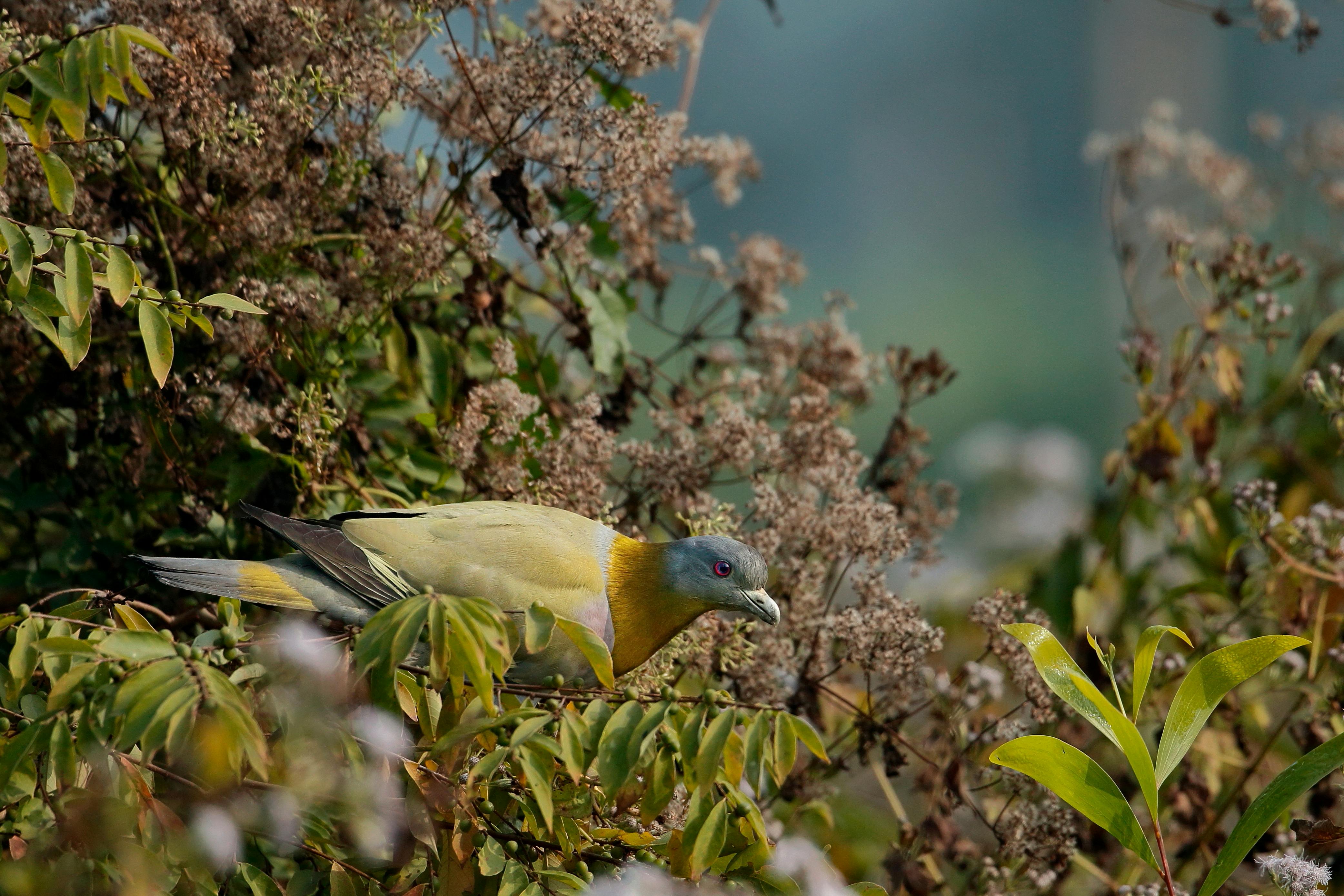 12.157+ Fotos y Imágenes de Feet+on+friday Gratis · Banco de Fotos Gratis