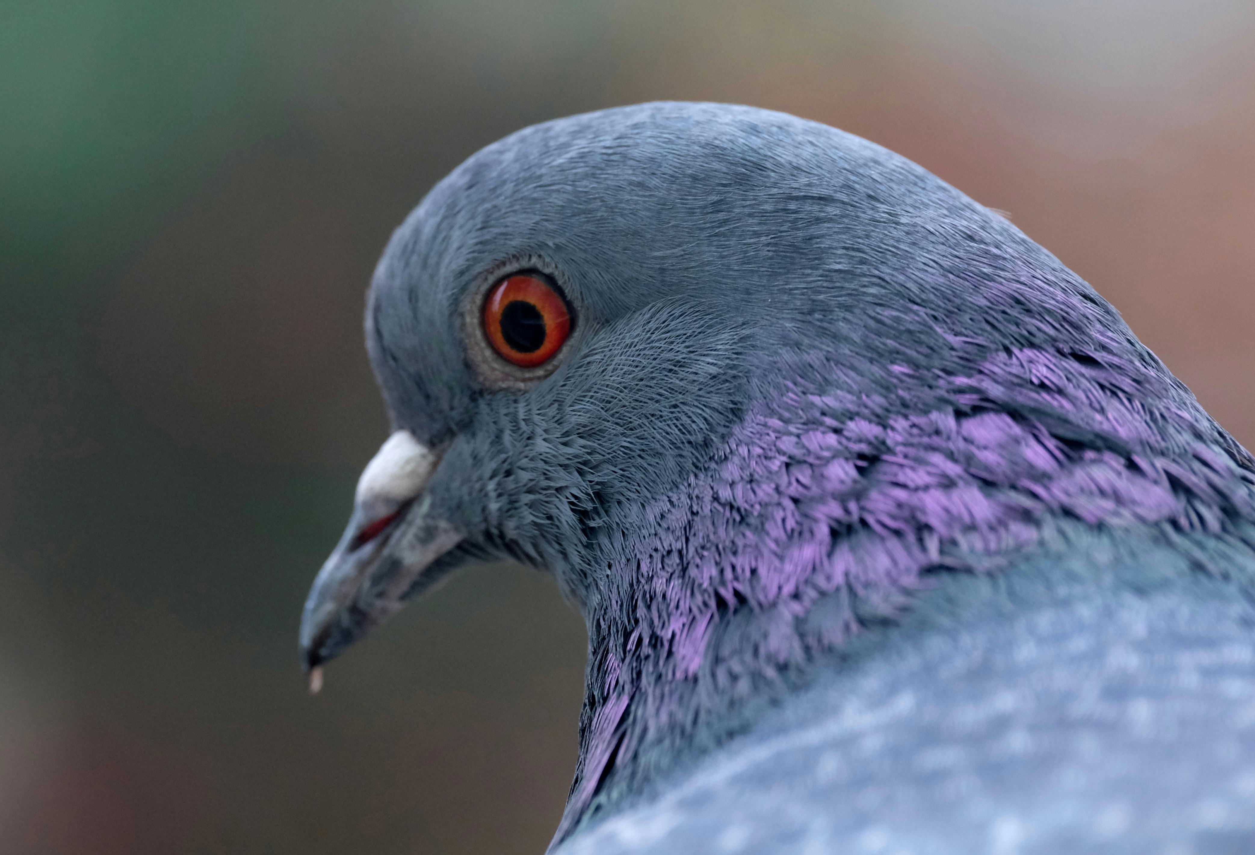 ++For+Free+Yoo Photos, Download The BEST Free ++For+Free+Yoo Stock ...